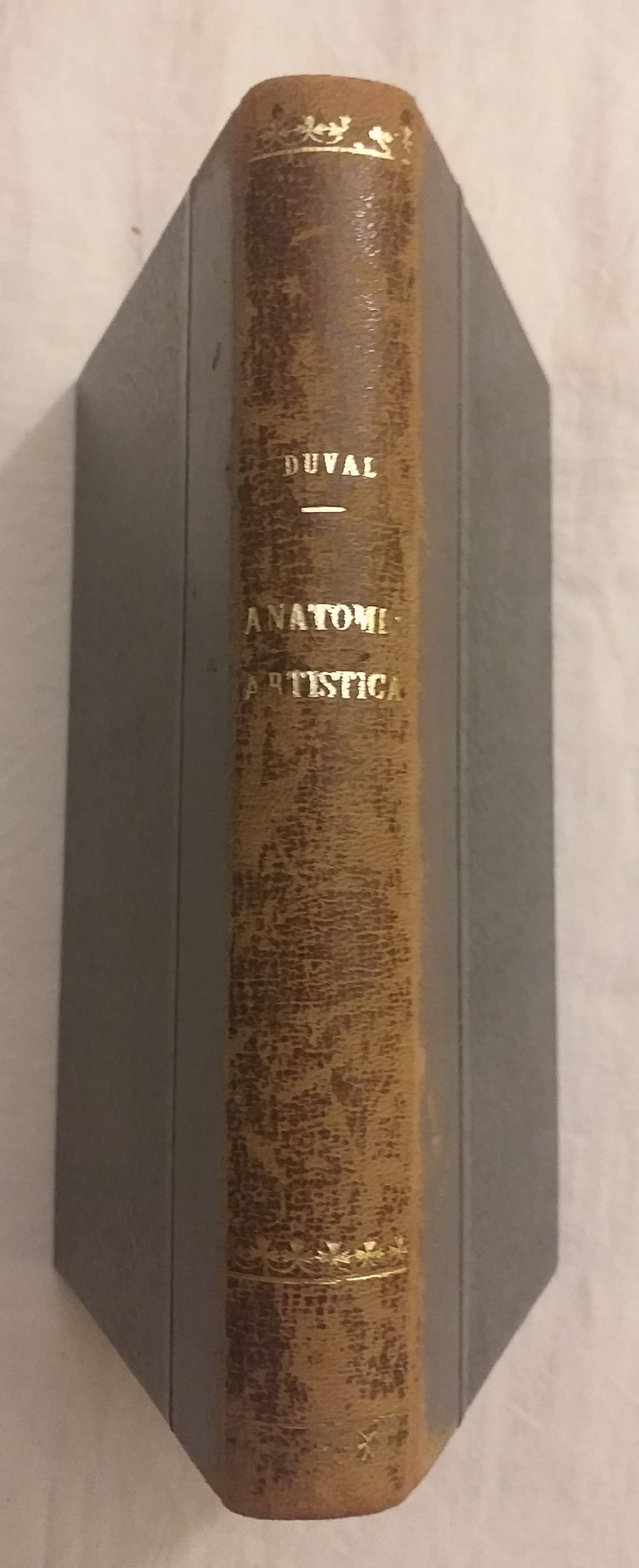 Compendio de ANATOMIA para uso de los artistas. by Mathias Duval.: Muy ...