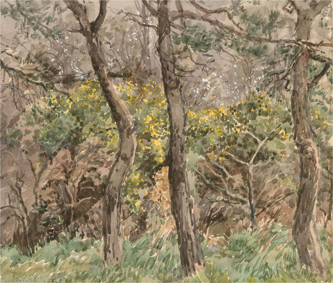 Keith Johnson (1931-2018) - 1994 Watercolour, Early Gorse on Mousehold ...