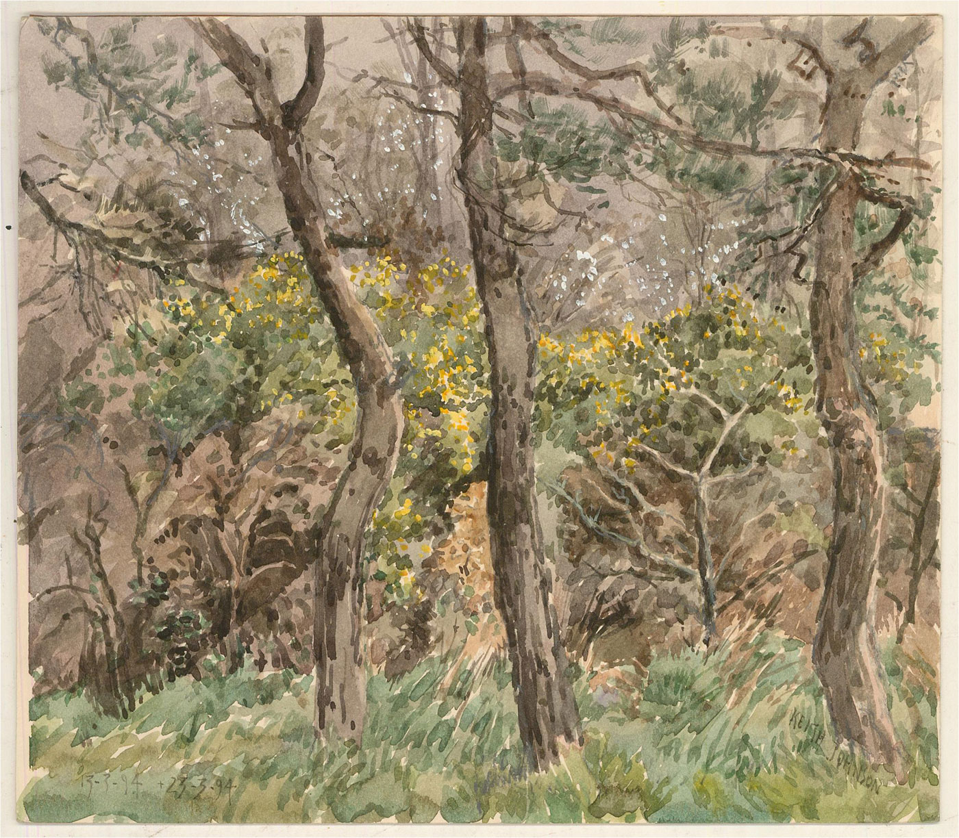 Keith Johnson (1931-2018) - 1994 Watercolour, Early Gorse on Mousehold ...