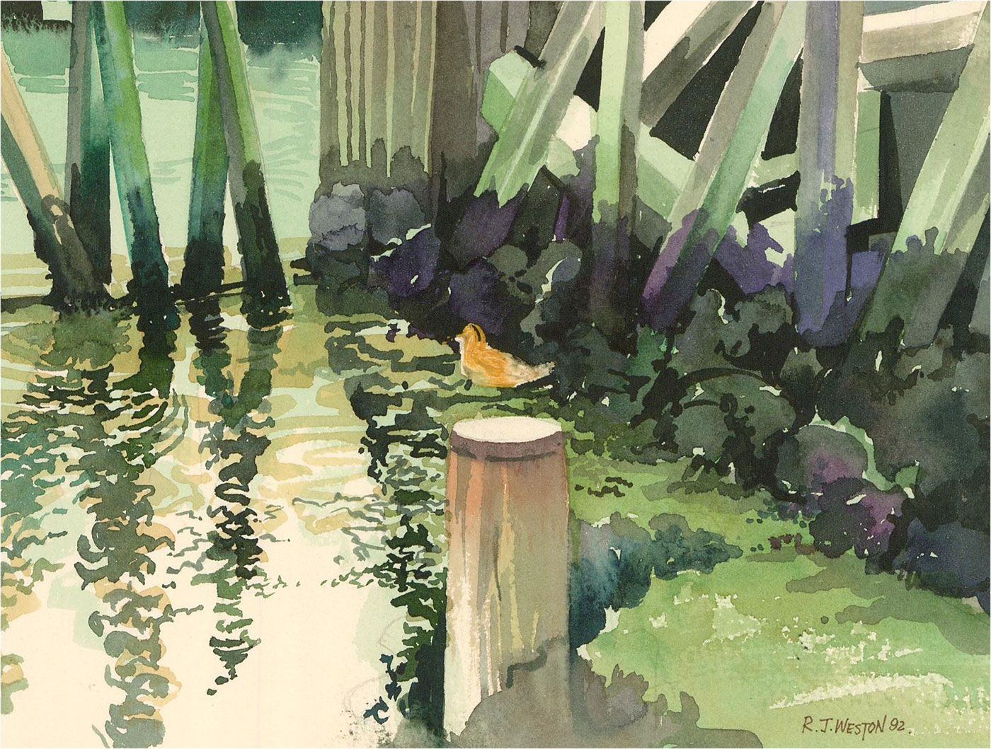 Ray J. Weston - 1992 Watercolour, Robin von Ray J. Weston: (1992 ...