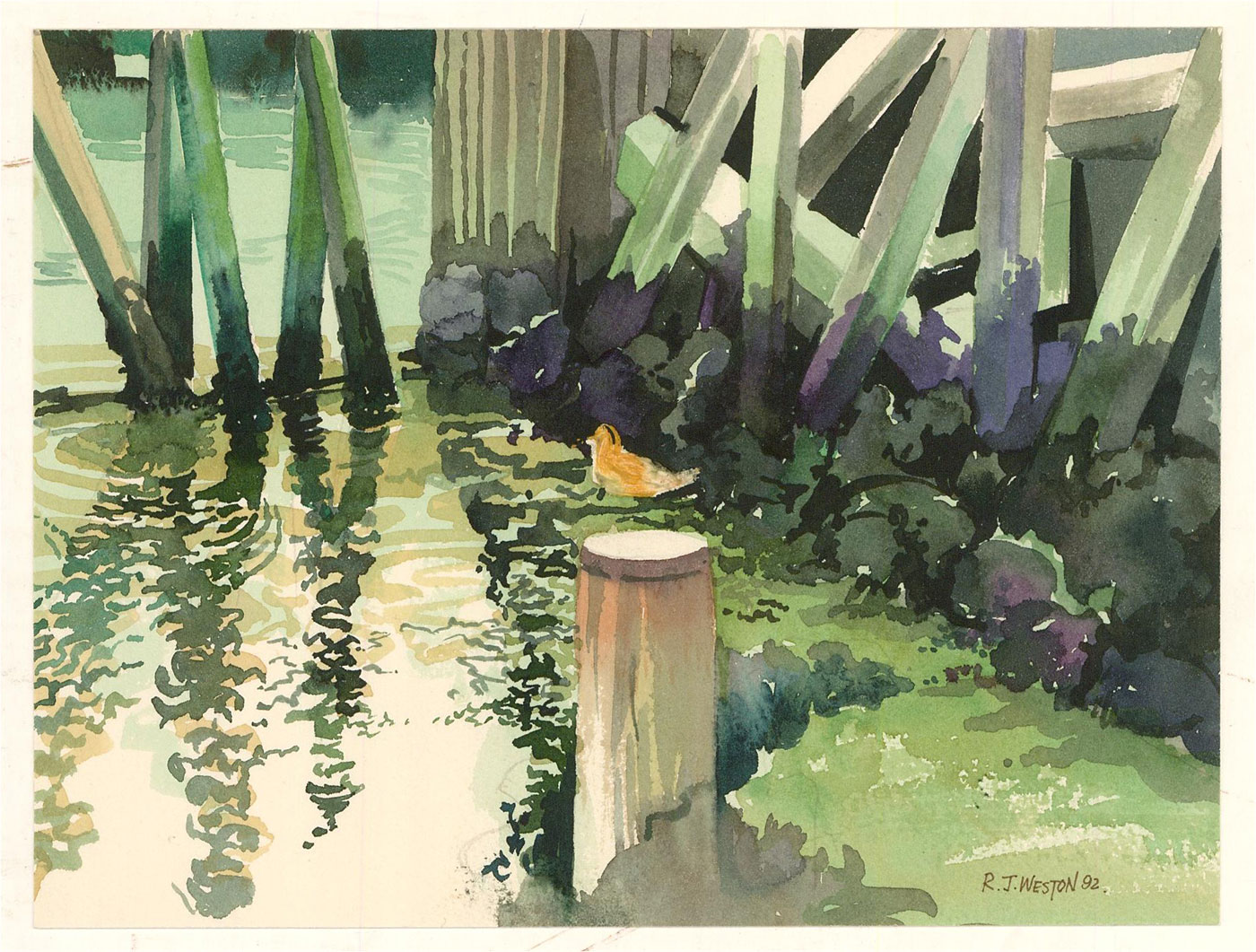 Ray J. Weston - 1992 Watercolour, Robin von Ray J. Weston: (1992 ...