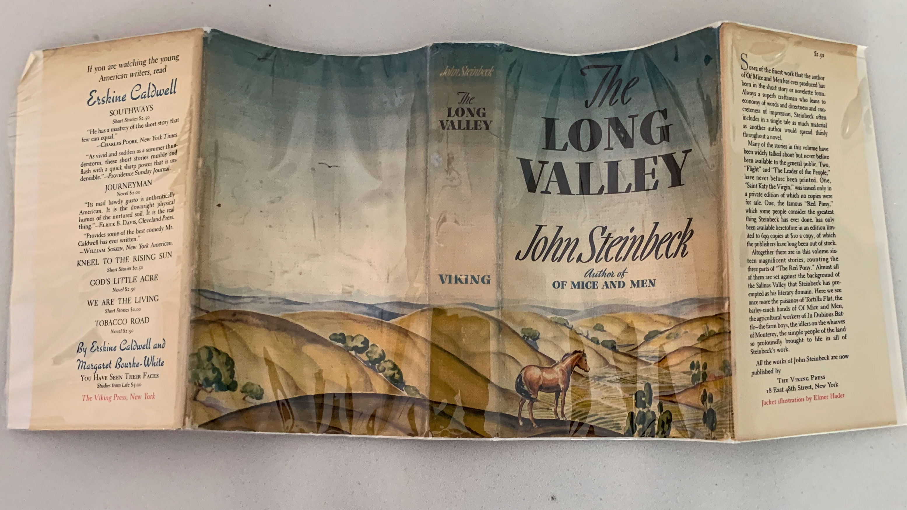 The Long Valley by John Steinbeck: Near Fine Hardcover (1938) 1st ...