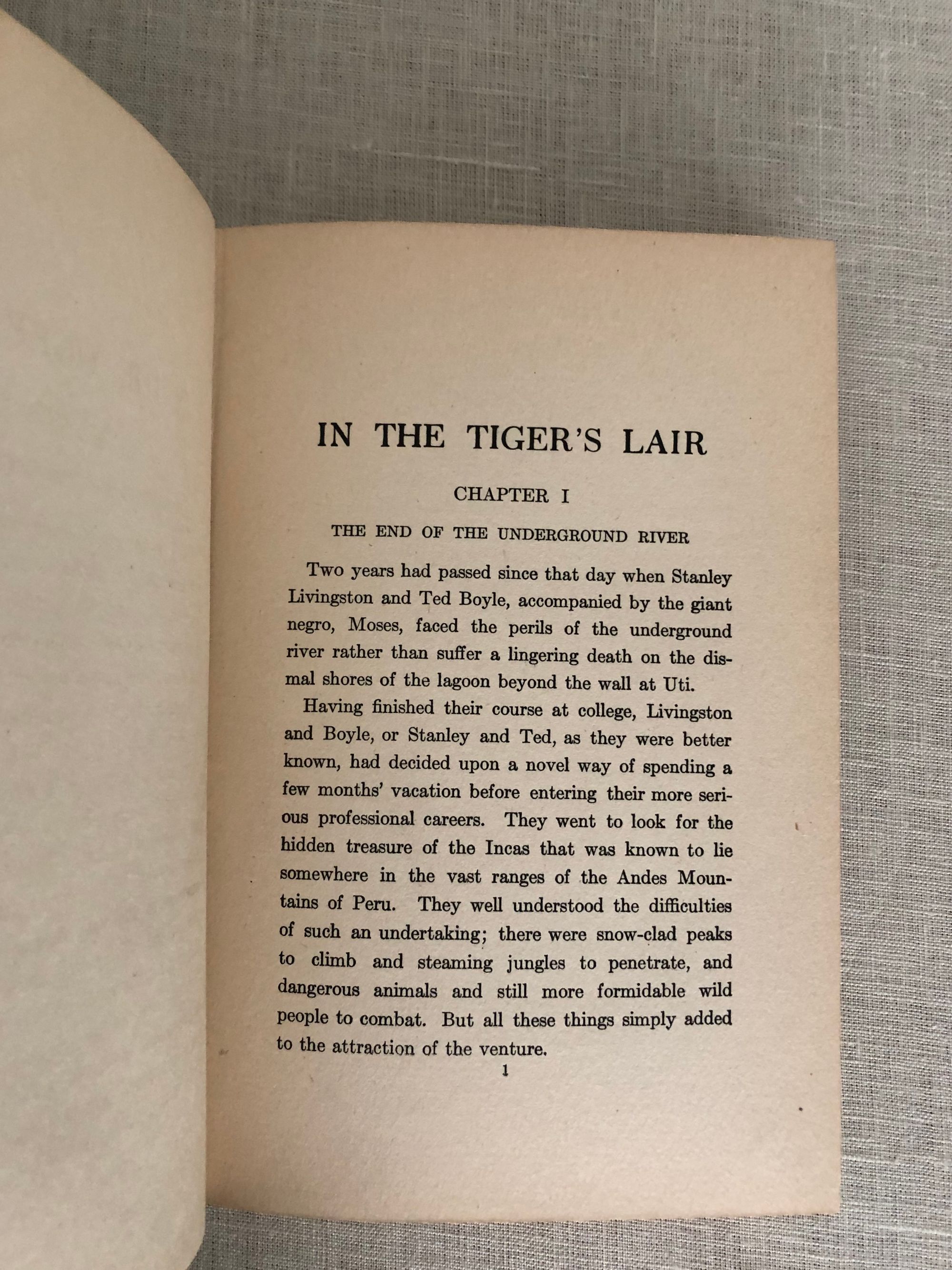 In The Tiger's Lair by Miller, Leo E.: Very Good Hard Cover (1921 ...