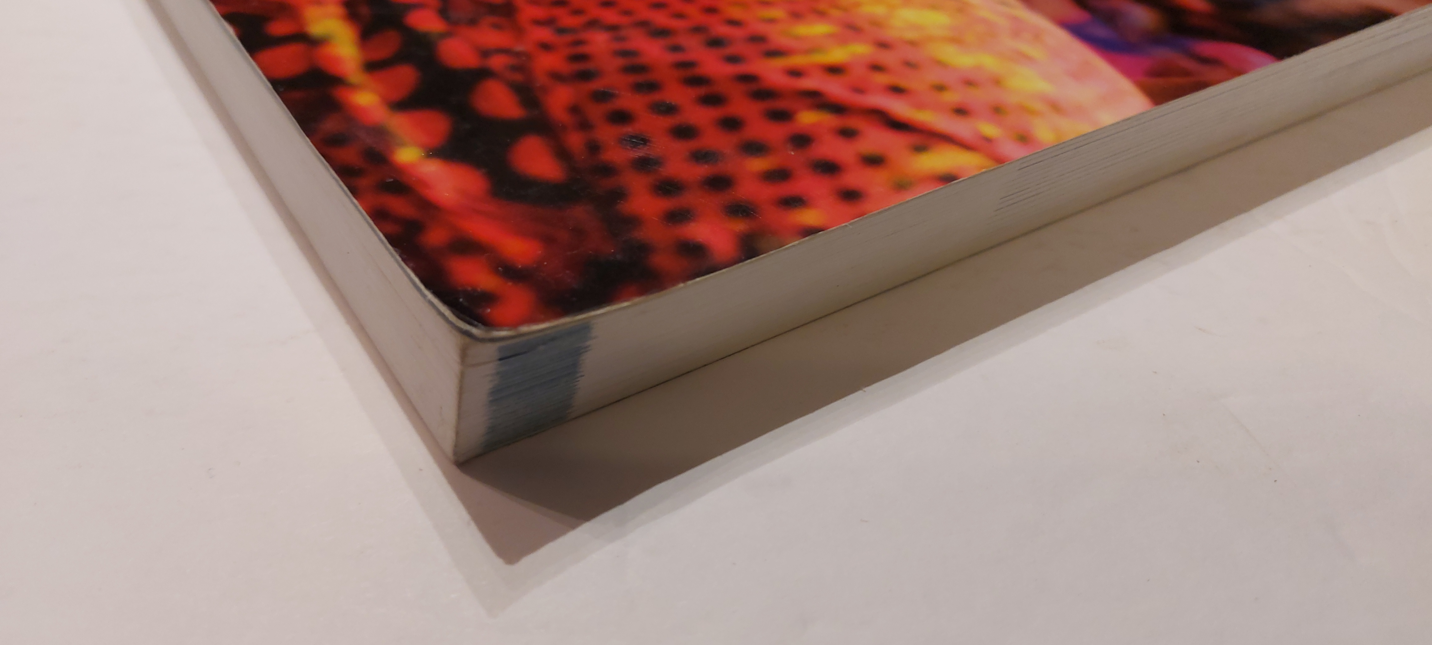 Through the Lens of Anthropology: An Introduction to Human Evolution ...