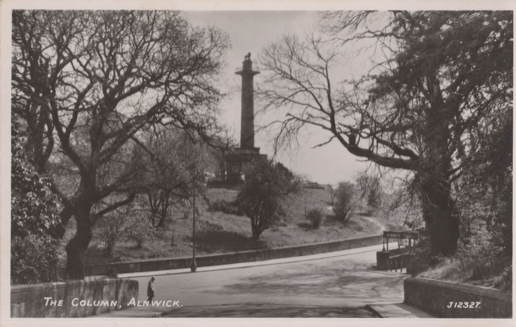The Column Lion Alnwick Northumberland Real Photo Postcard: Manuscript ...