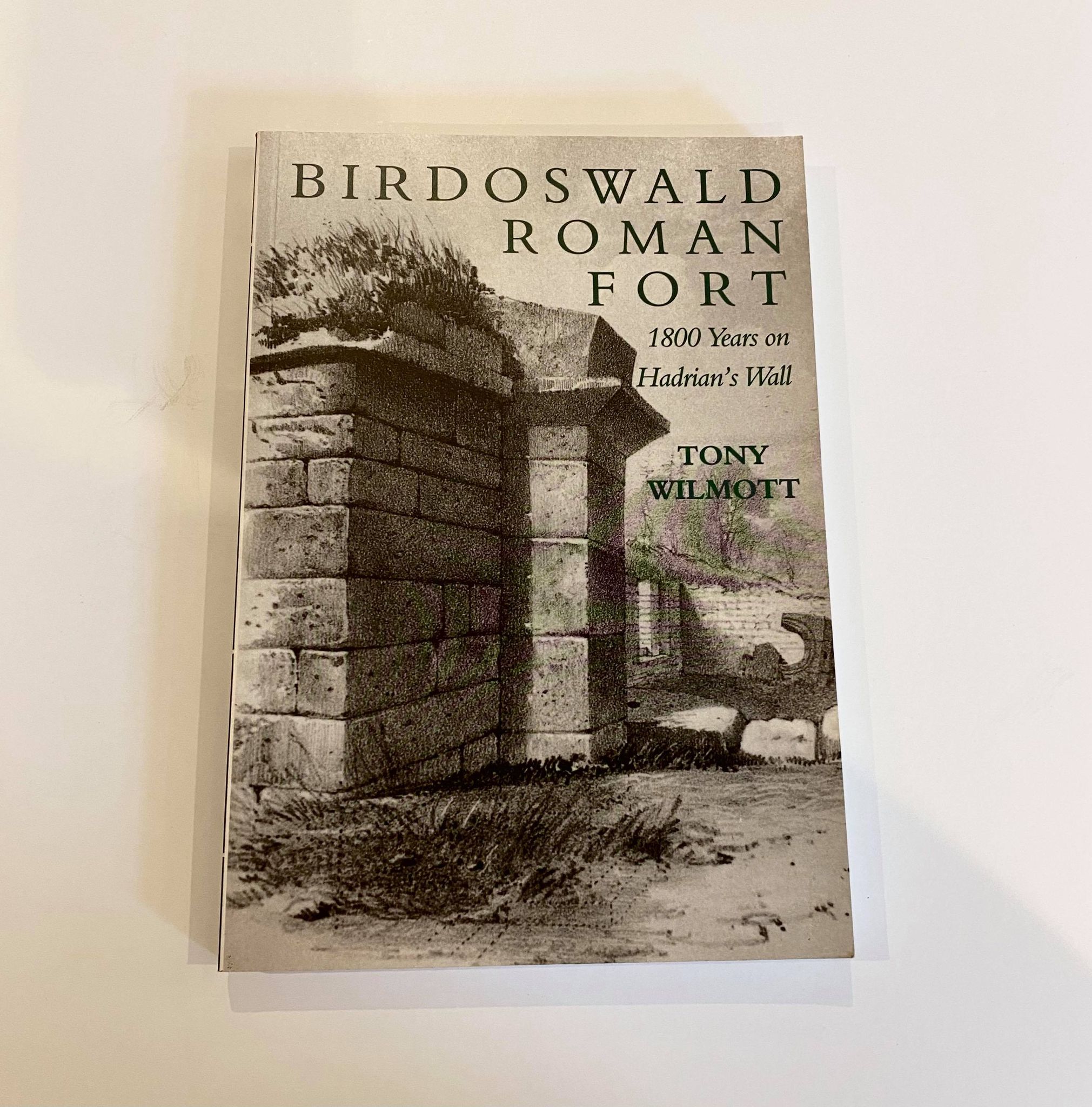 Birdoswald Roman Fort: 1800 Years on Hadrian's Wall by Tony Willmott ...