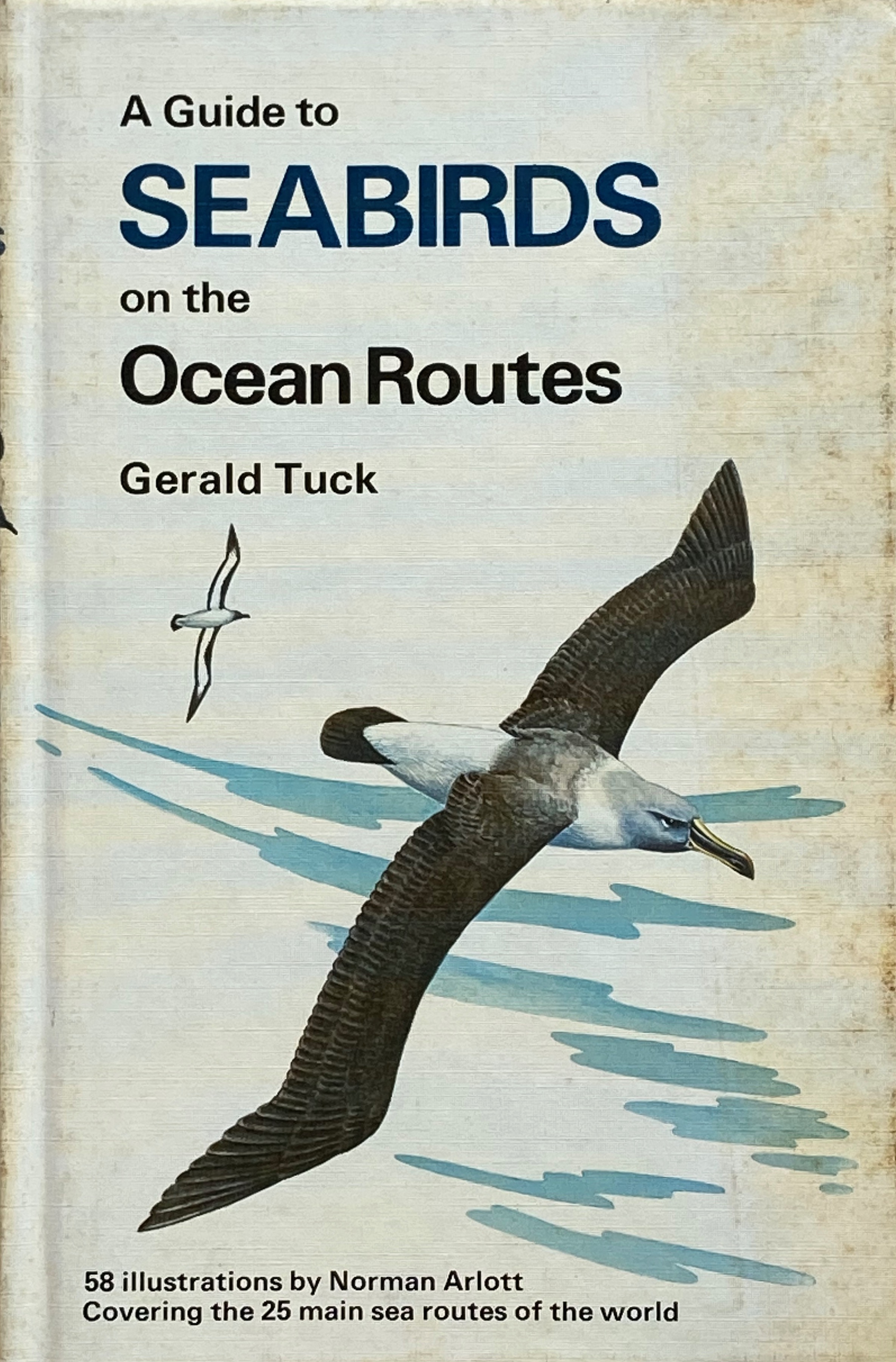A guide to seabirds on the ocean routes by Tuck G: Good Pictorial hard ...