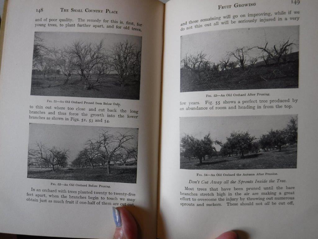 The Small Country Place by Maynard, Samuel T.: Very Good Hardcover ...