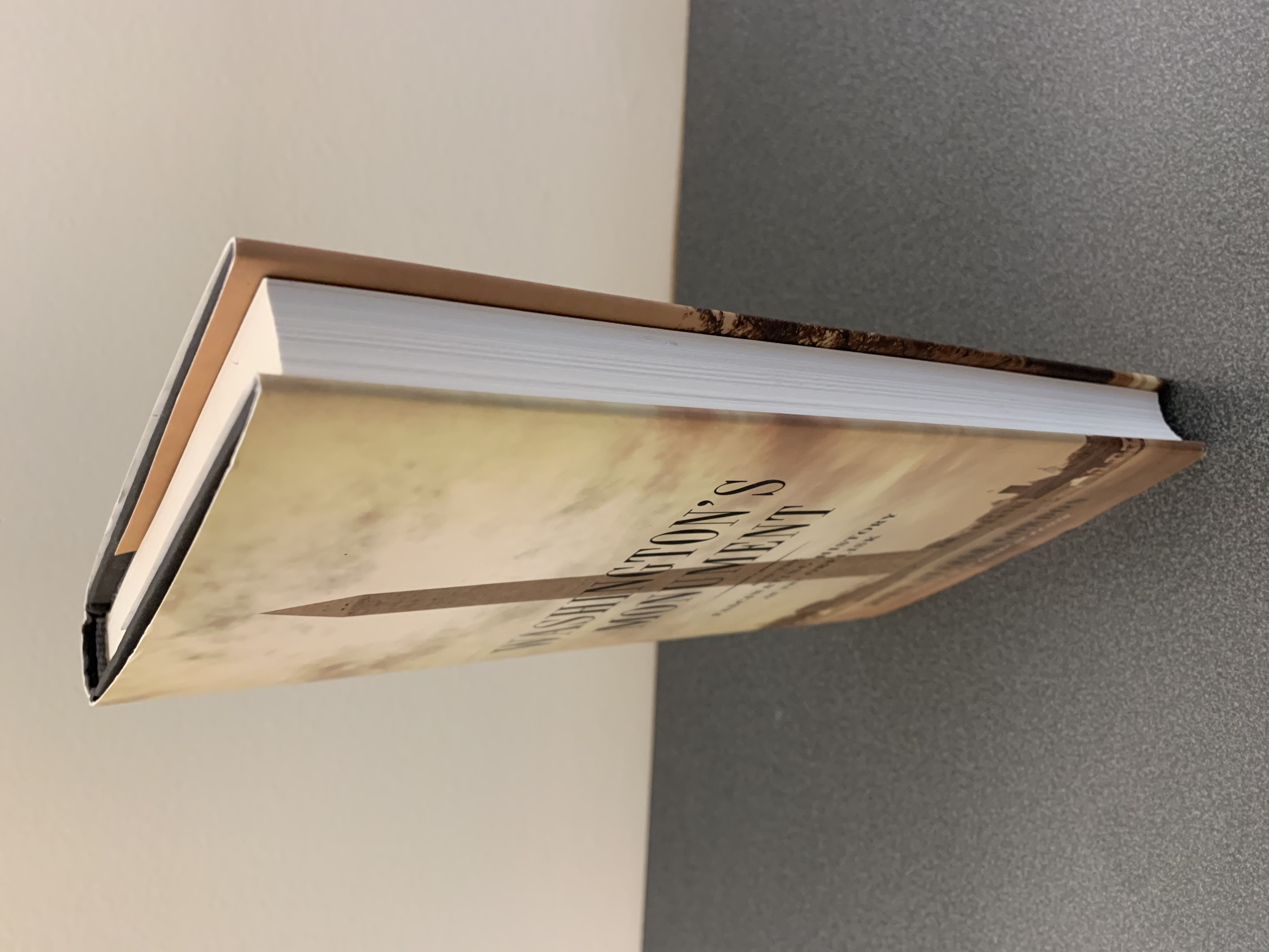 Washington's Monument: And the Fascinating History of the Obelisk ...