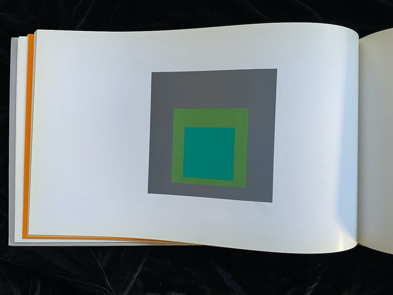 Josef Albers: Homage to Color by Albers, Josef: Fine Hardcover (2003 ...