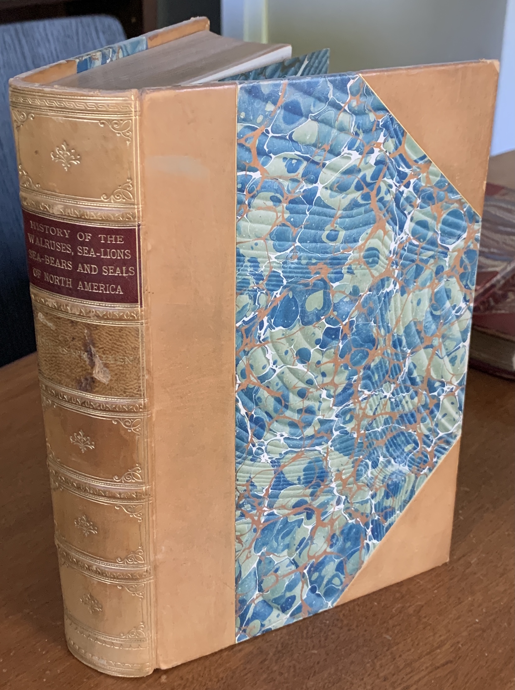 History of North American Pinnipeds: a monograph of the Walruses, Sea ...