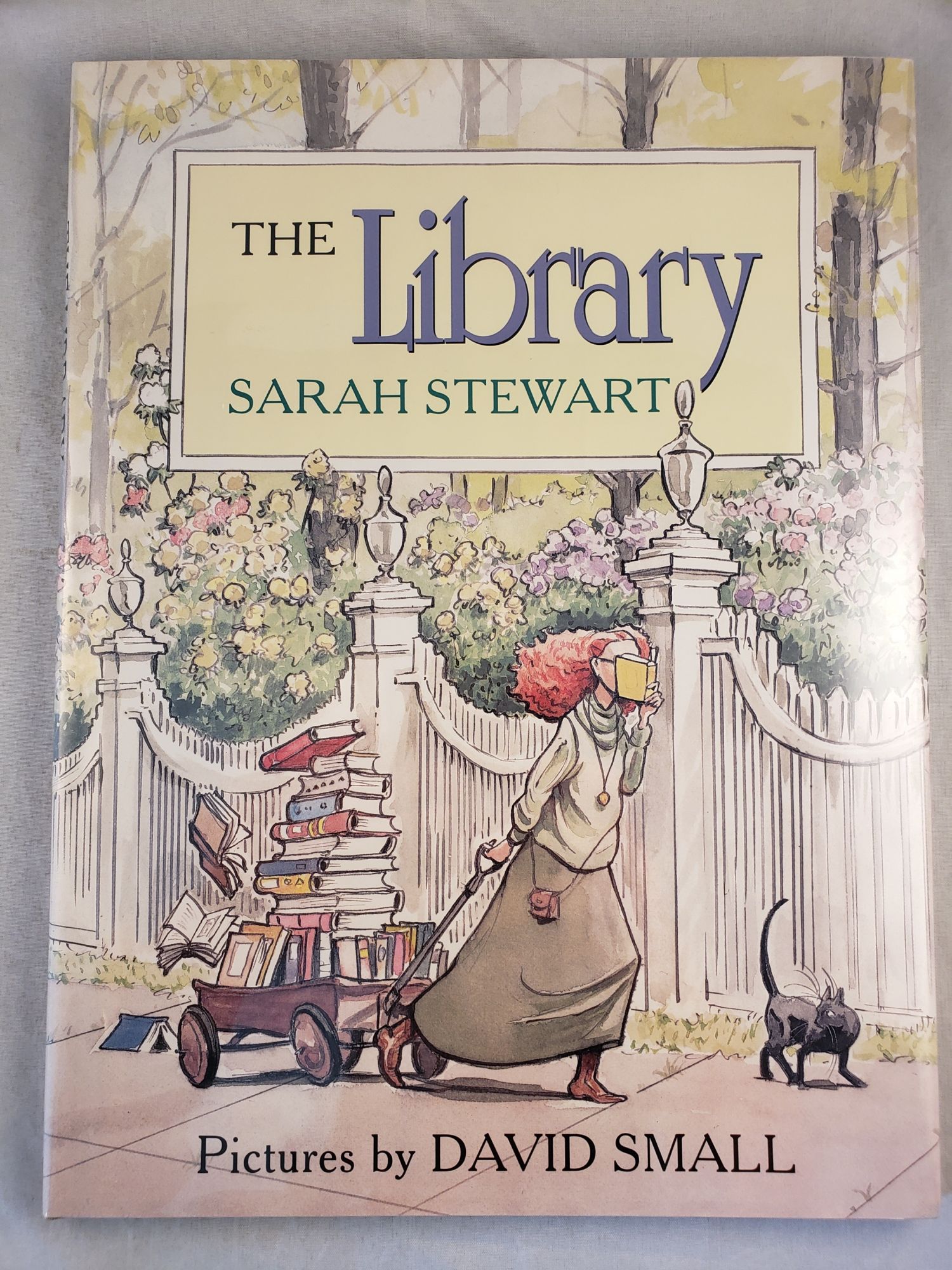 The Library von Stewart, Sarah and illustrated by David Small: Signed ...