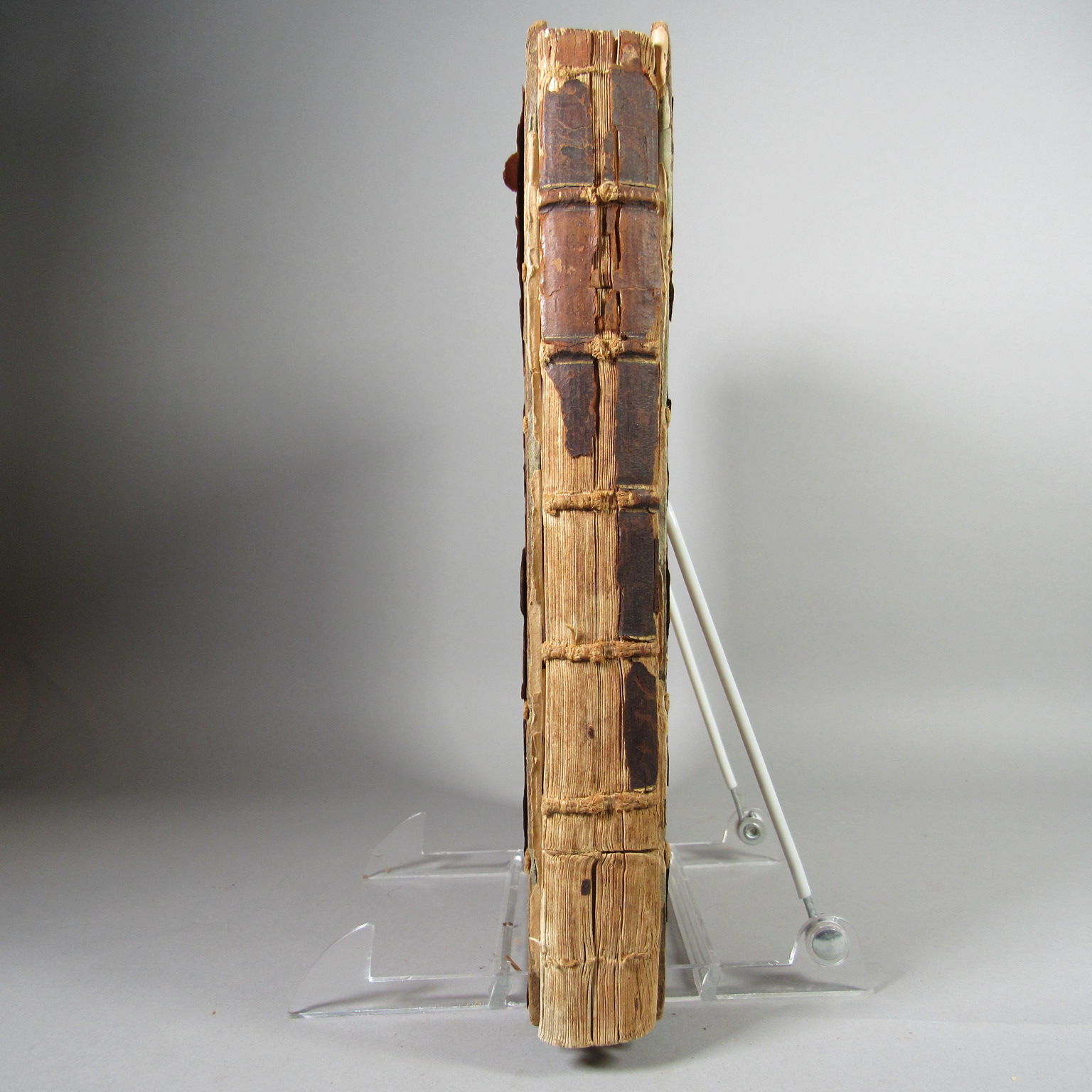 The Natural History of the Human Teeth: Explaining Their Structure, Use ...