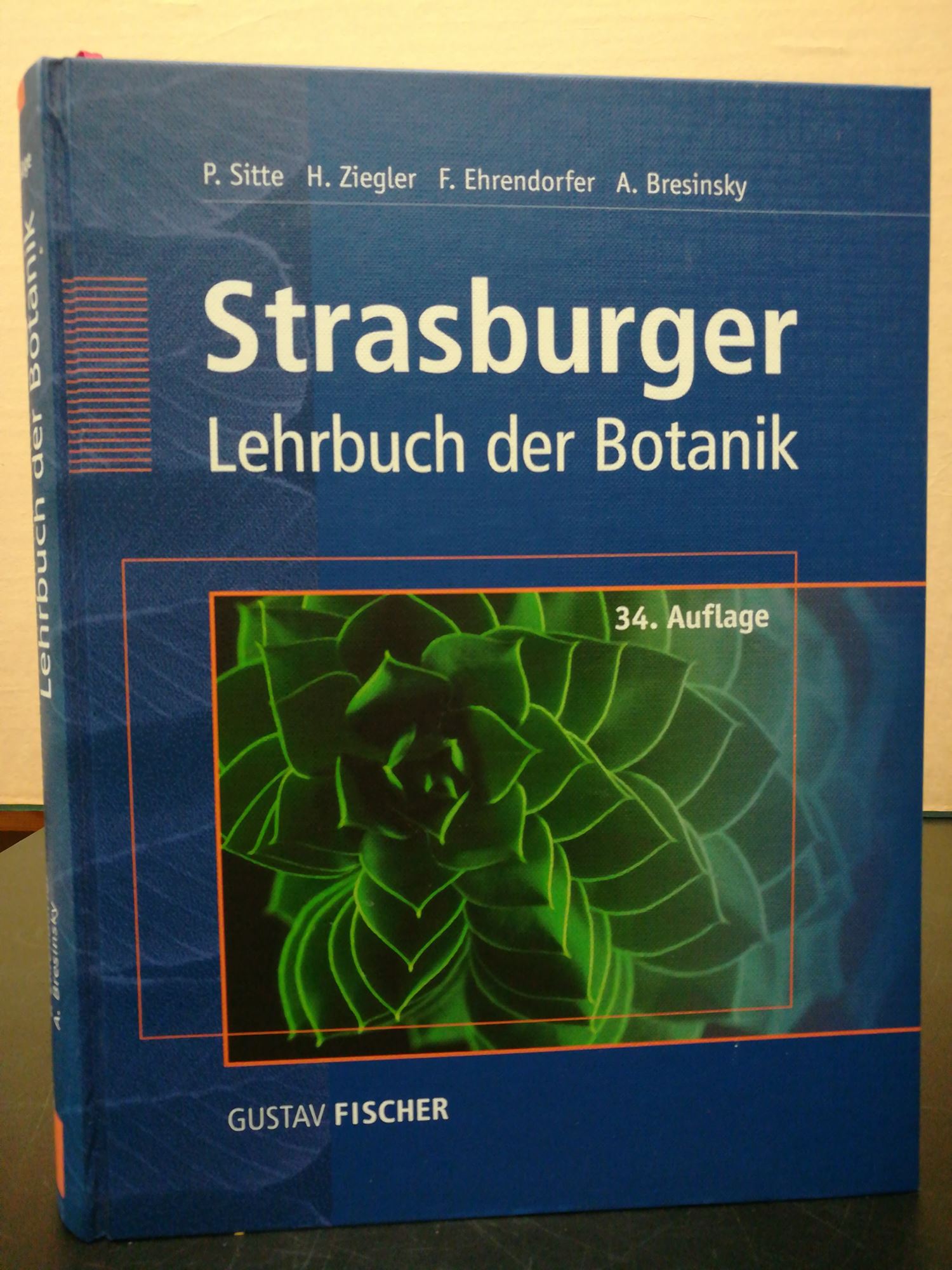 Strasburger - Lehrbuch der Botanik für Hochschulen von Sitte, Peter ...