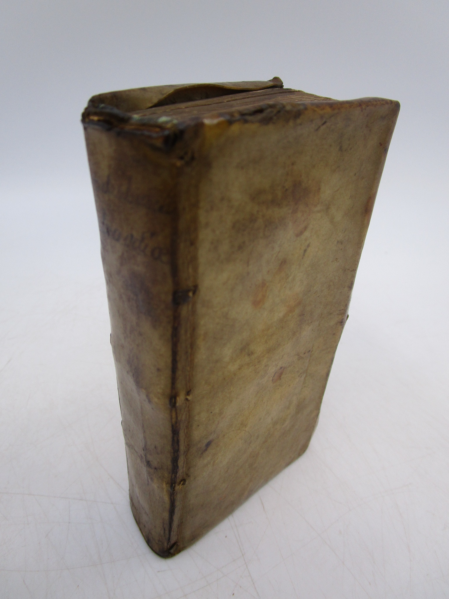 Sabavdiae Respublica et Historia by Lambert van der Burch: Very Good ...