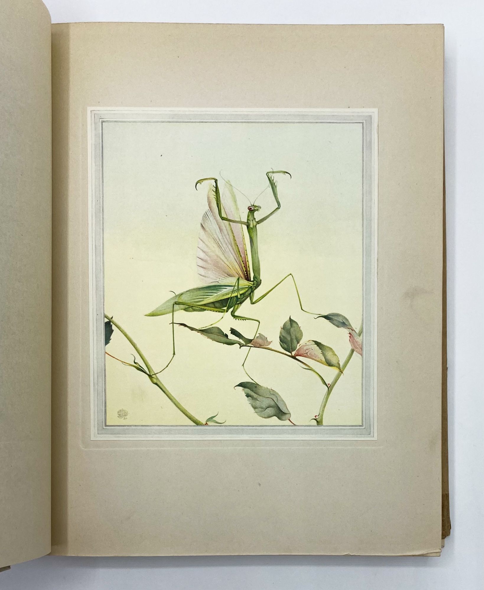 FABRE'S BOOK OF INSECTS by Detmold, E. J.; Stawell, Mrs. Rodolph; Fabre ...