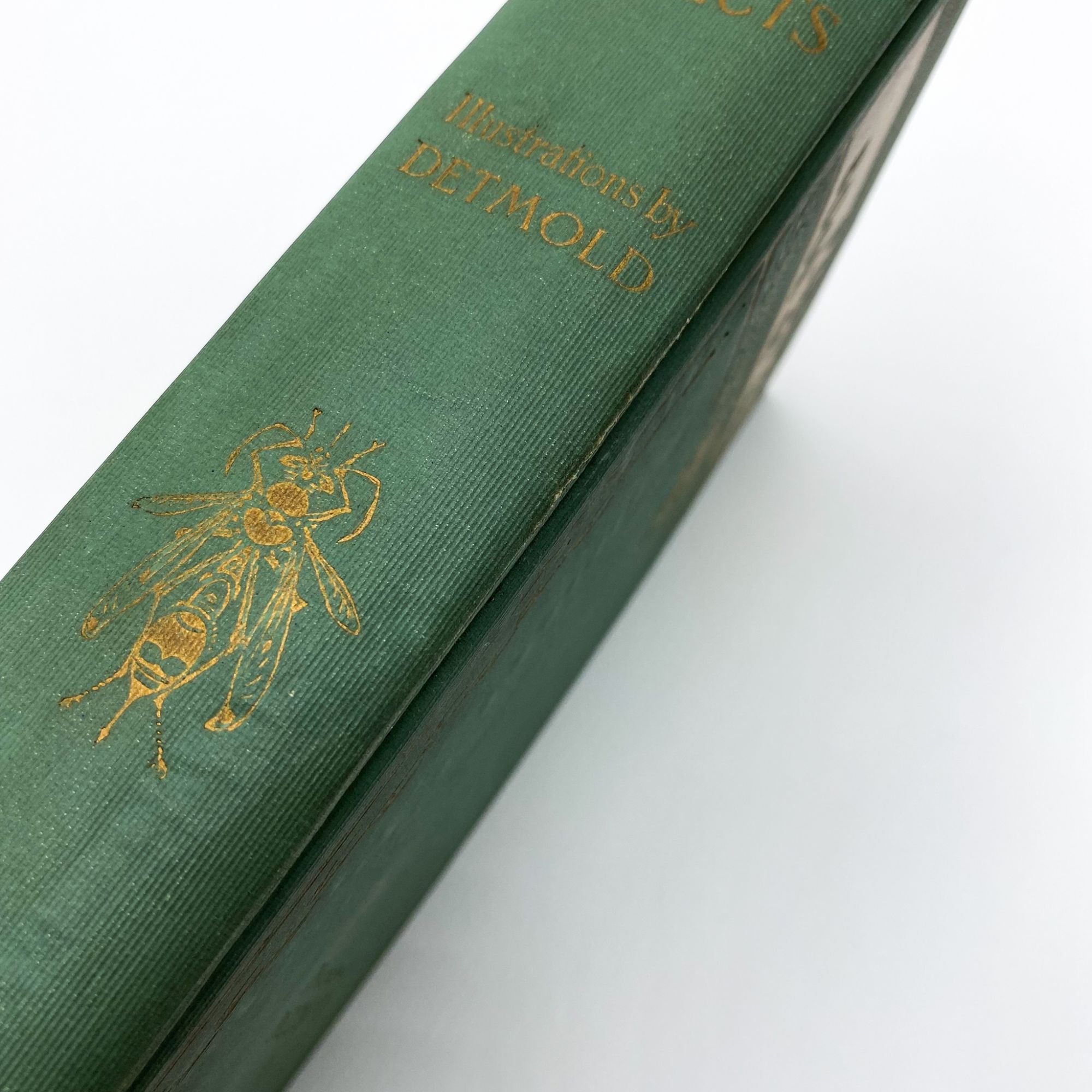 FABRE'S BOOK OF INSECTS by Detmold, E. J.; Stawell, Mrs. Rodolph; Fabre ...