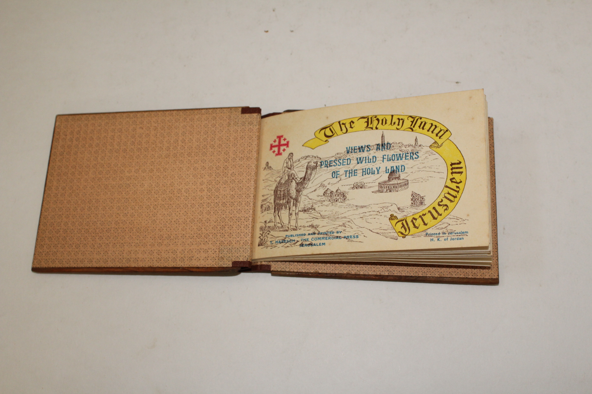 THE HOLY LAND. JERUSALEM. Views and Pressed Wild Flowers of the Holy ...