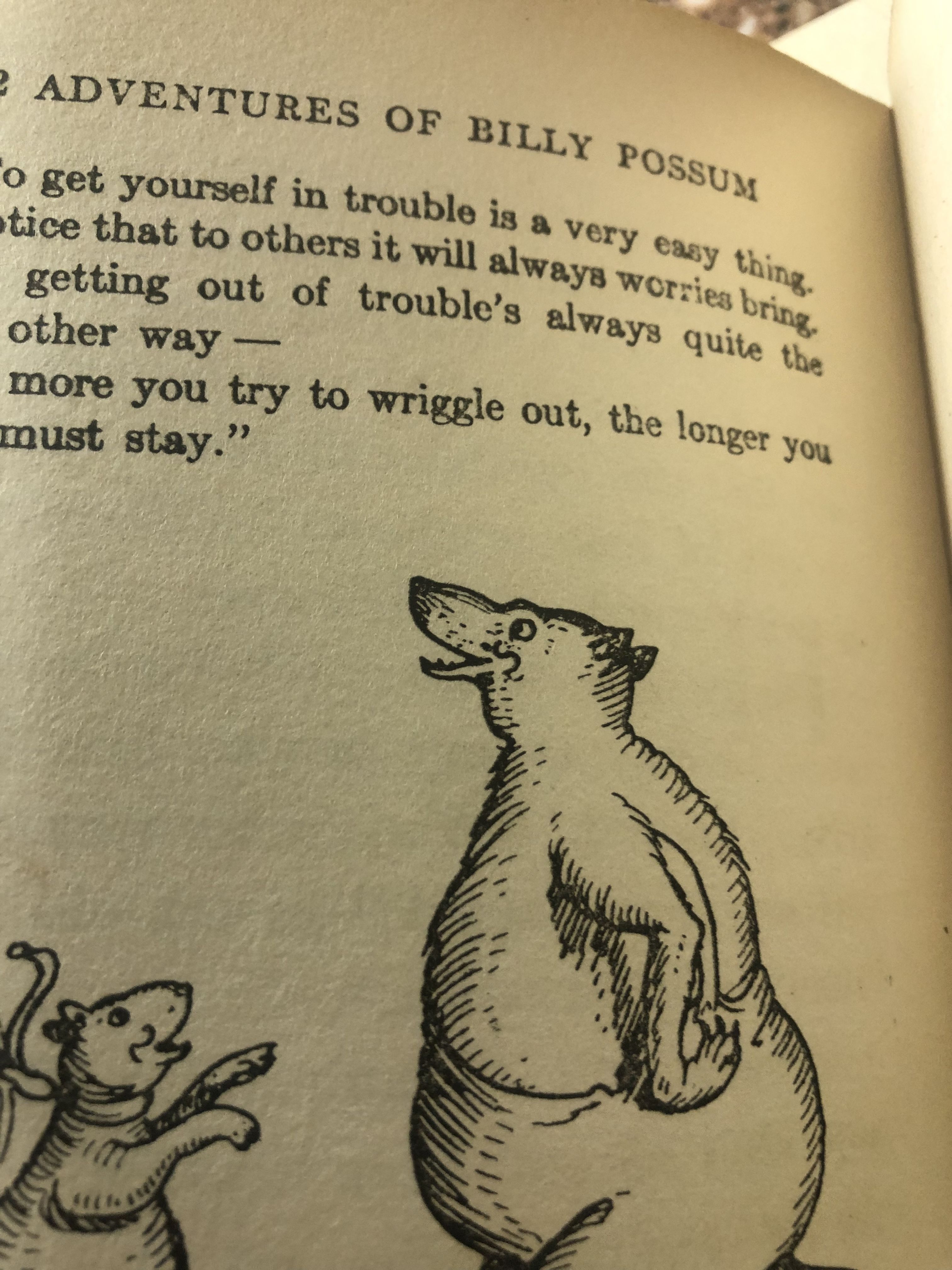 THE ADVENTURES OF UNC' BILLY POSSUM The Bedtime Story-Books by Thornton ...