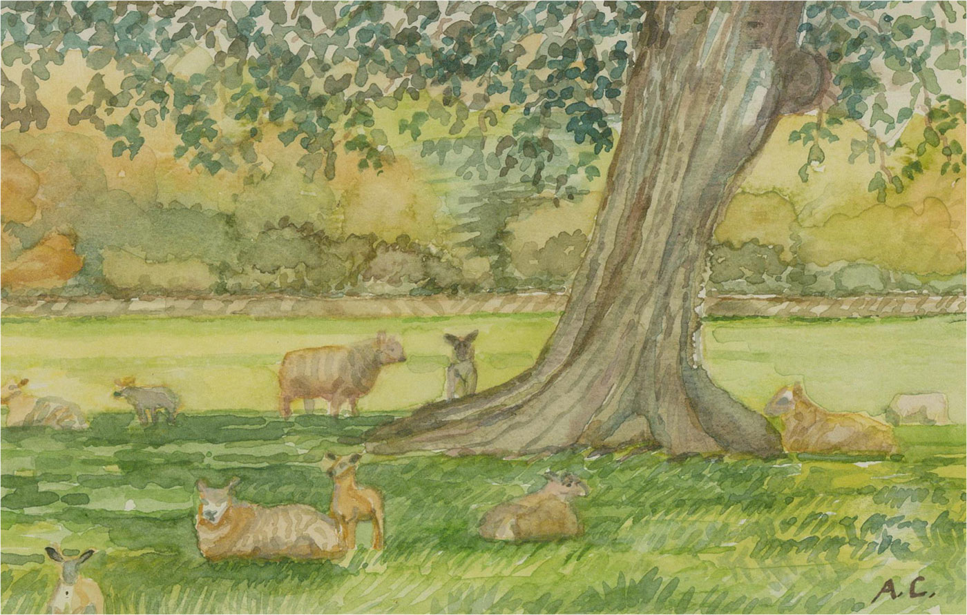 Alexandra Cotterell - 20th Century Watercolour, Spring Lambs by ...