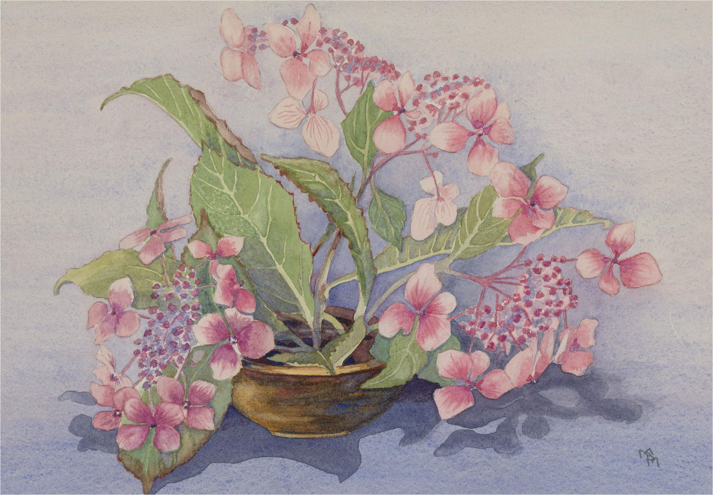 M. B. M - Contemporary Watercolour, Pink Hydrangea by M. B. M: Art ... M. B. M - Contemporary Watercolour, Pink Hydrangea by M. B. M: Art ...