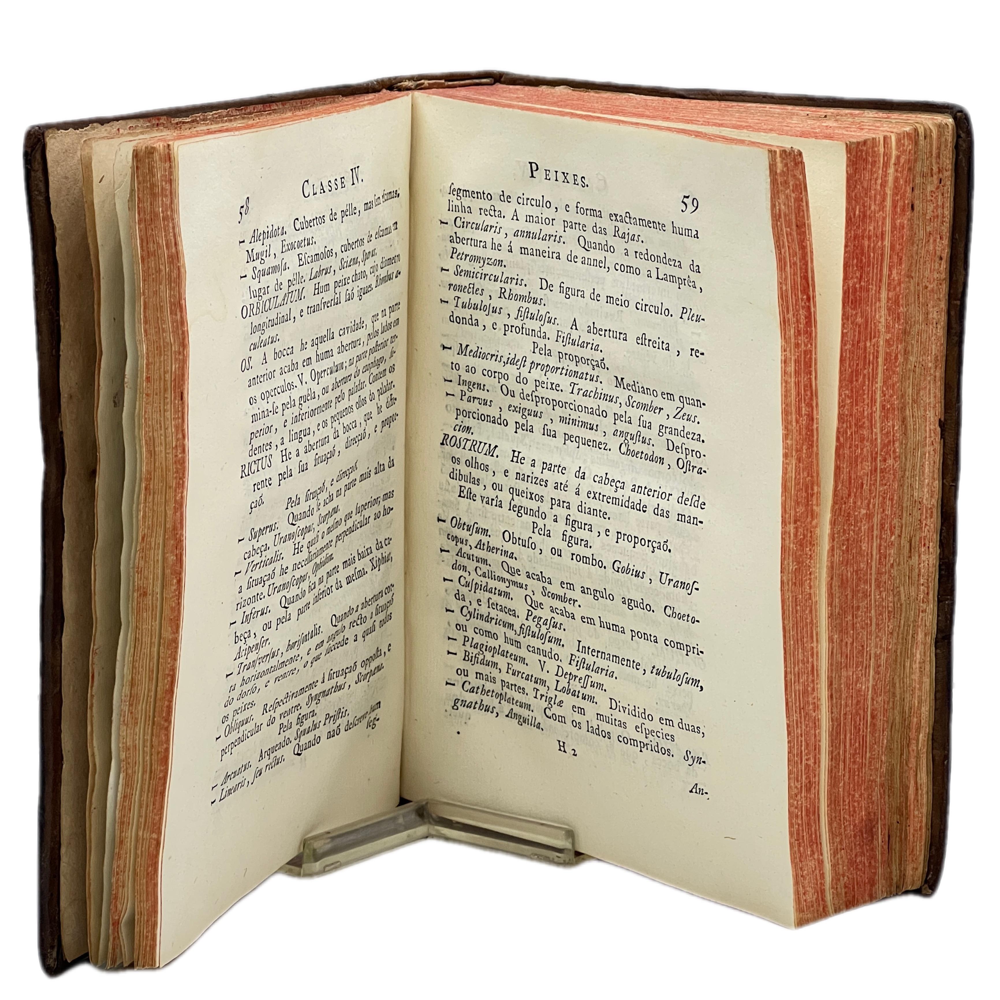 DICCIONARIO DOS TERMOS TECHNICOS DE HISTORIA NATURAL EXTRAHIDOS DAS ...