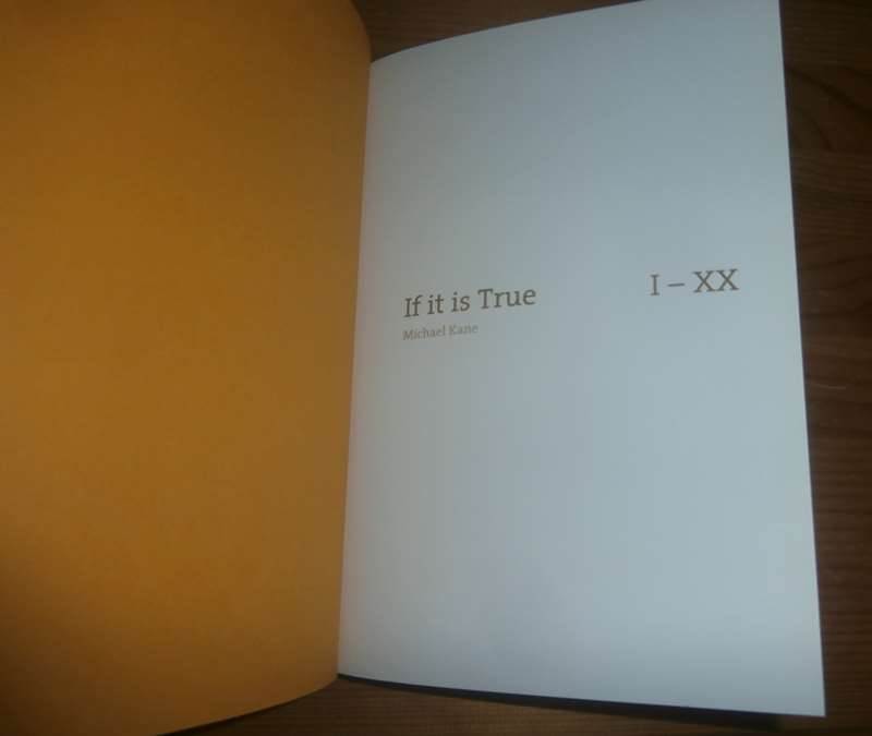 Michael Kane If It Is True: I - XX by Kane, Michael: Fine Hardcover ...