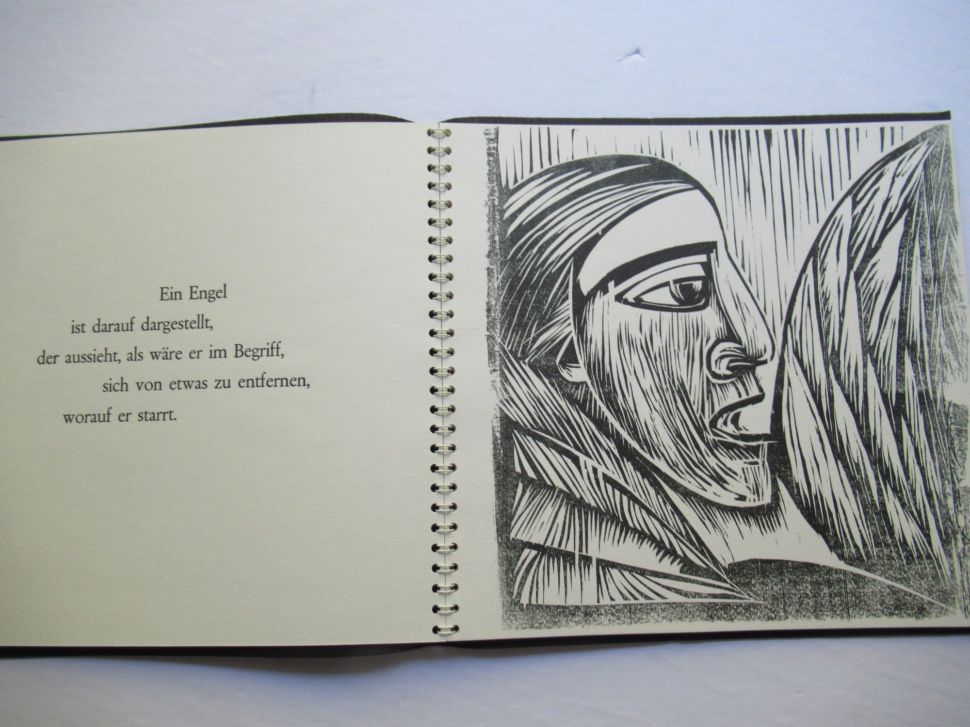 ANGELUS NOVUS by Benjamin, Walter: Fine in cardboard slipcase (1992) No ...