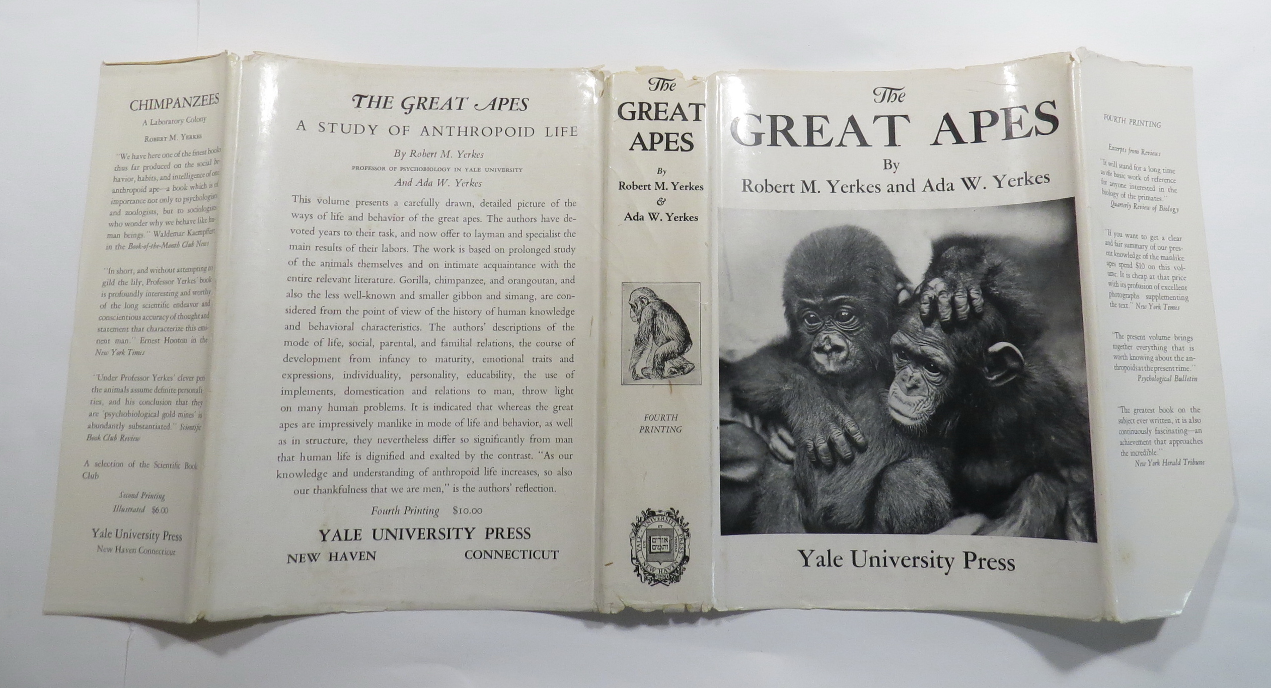 The Great Apes - A Study of Anthropoid Life by Yerkes, Robert M. & Ada ...
