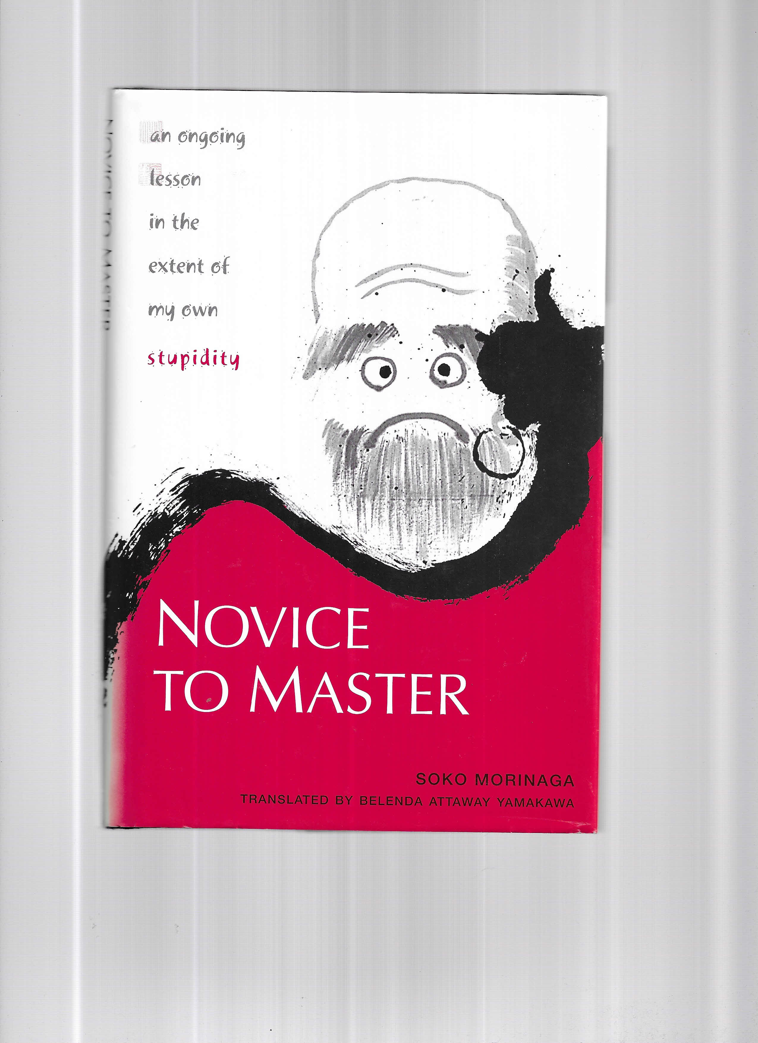 NOVICE TO MASTER: An Ongoing Lesson In The Extent Of My Own Stupidity ...