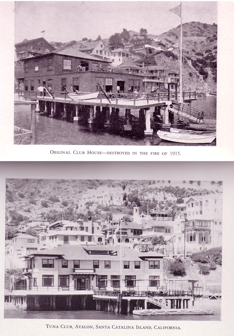 History of the Tuna Club (Avalon, Catalina) by Arthur Macrate Jr.: Fine ...