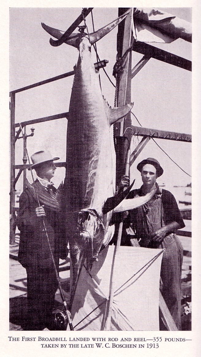 History of the Tuna Club (Avalon, Catalina) by Arthur Macrate Jr.: Fine ...