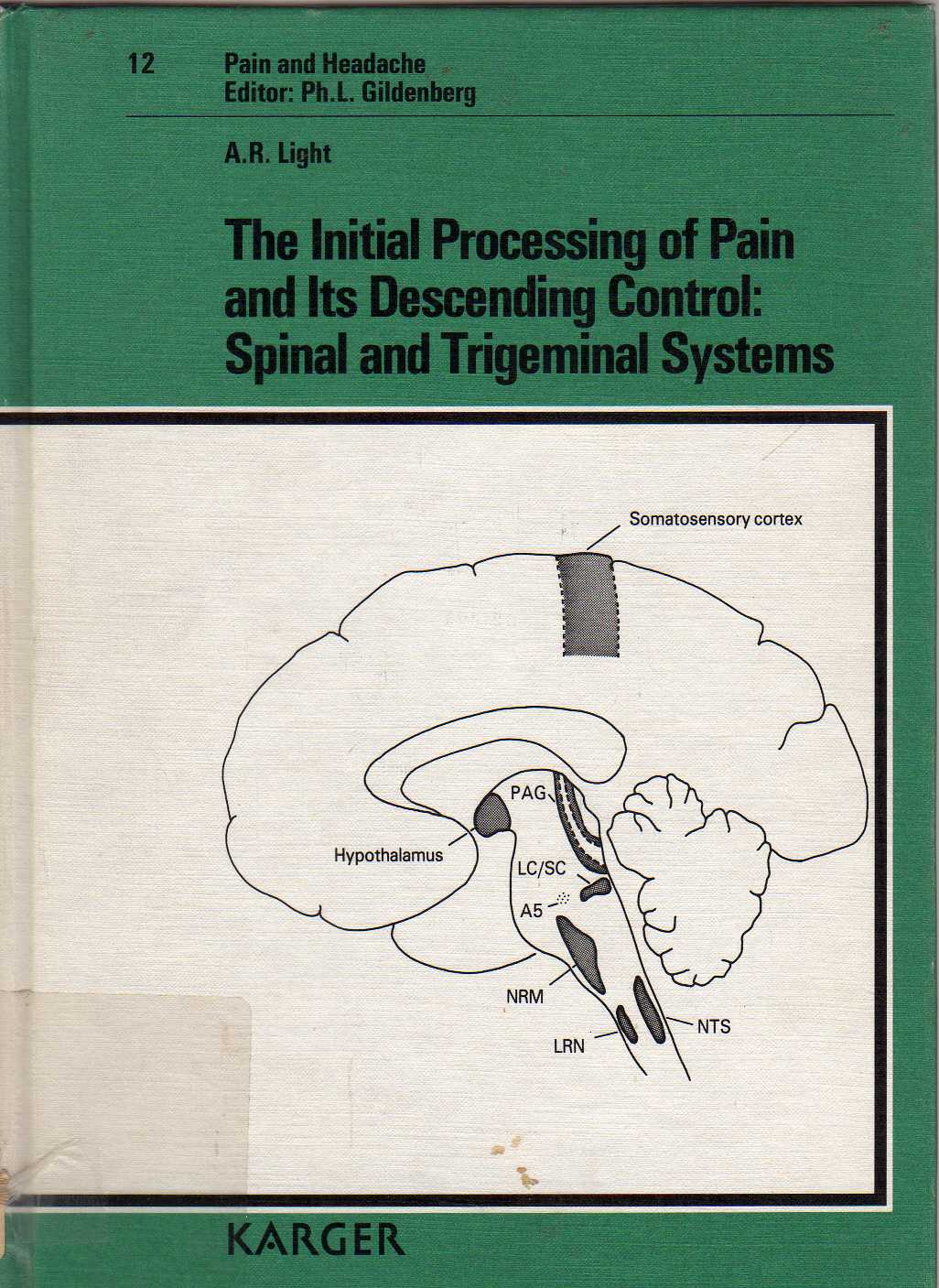 The Initial Processing of Pain and Its Descending Control: Spinal and ...