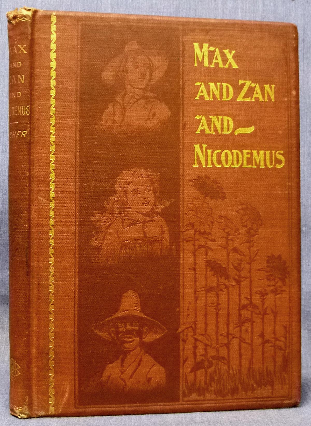 Max And Zan And Nicodemus by Mr. M. A. Haynie Fisher: Very Good ...