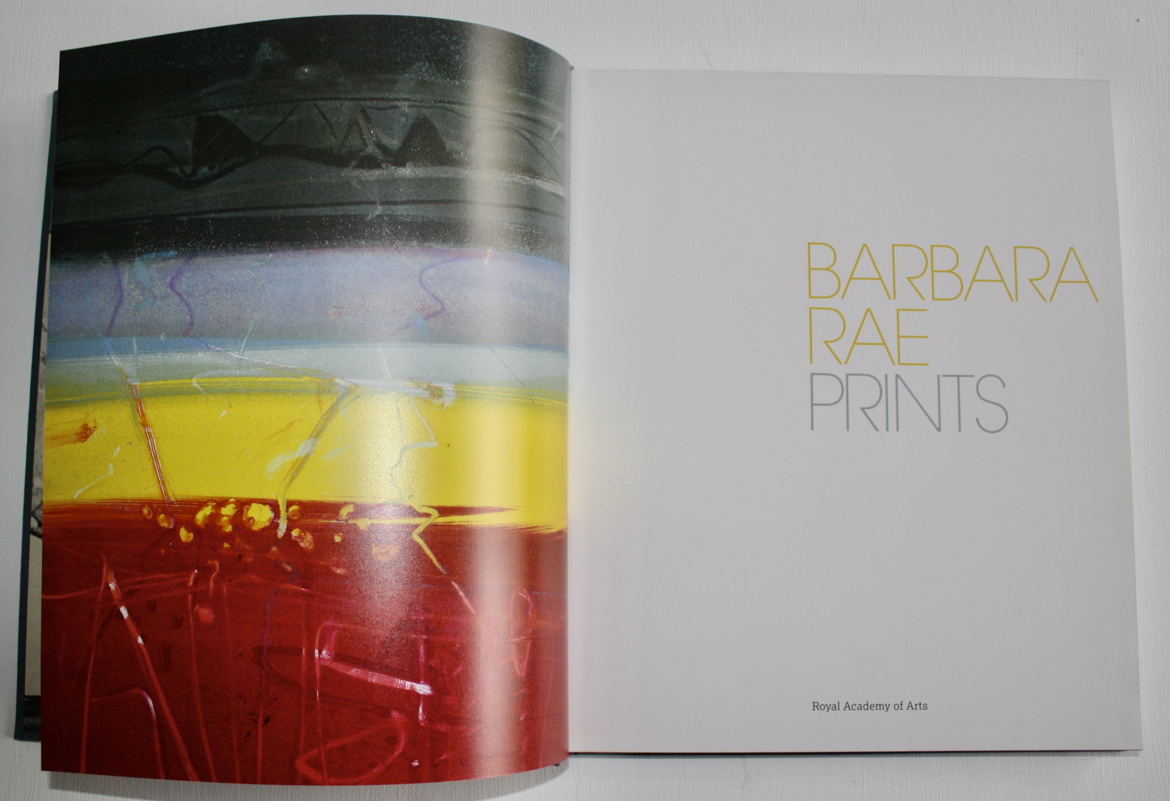 Barbara Rae Prints. by LAMBIRTH, Andrew; RAE, Barbara.: Fine Hardcover ...