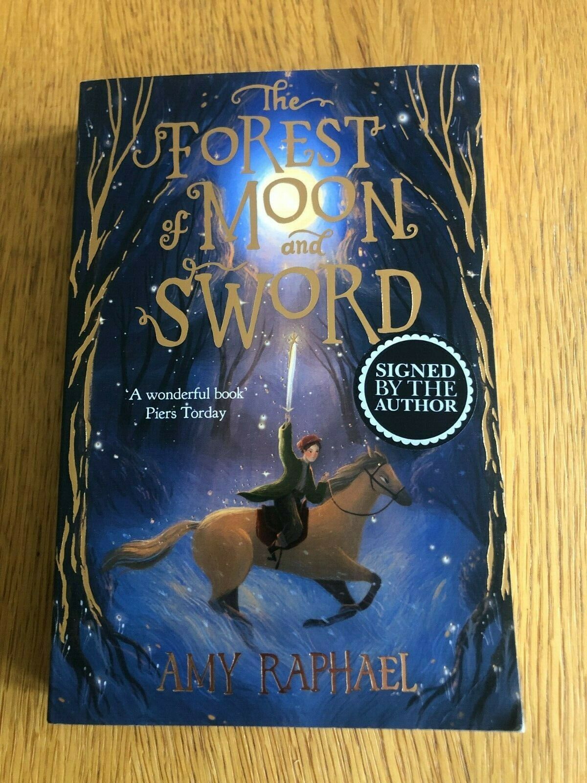 THE FOREST OF MOON AND SWORD by AMY RAPHAEL: Good Soft cover (2021 ...