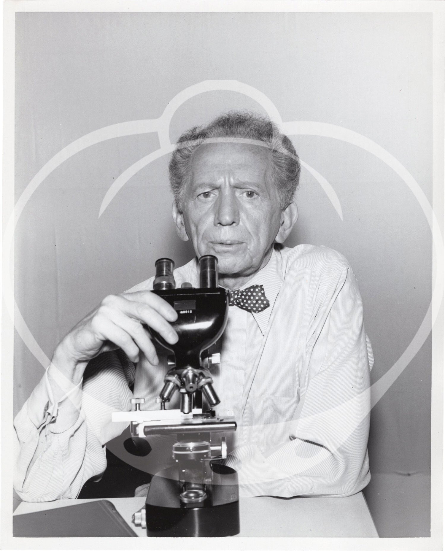 Ben Casey (Four original photographs of Sam Jaffe from the 1961-1966 ...