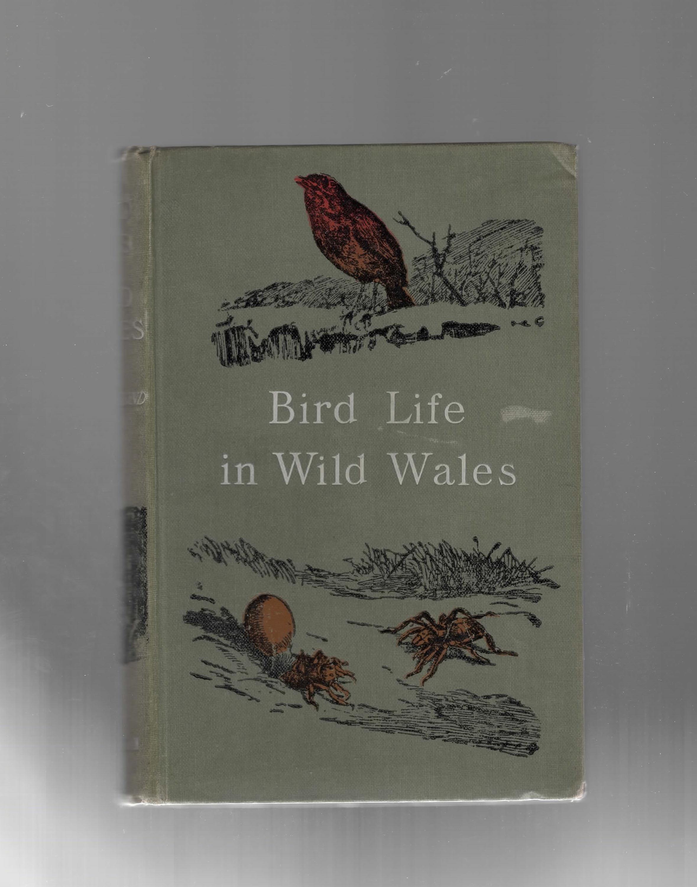 Bird Life in Wild Wales by Walpole-Bond, JA: Very Good Hardcover (1904 ...