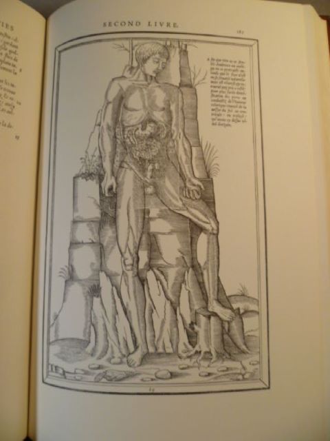 La dissection des parties du corps humain divisée en trois livres ...