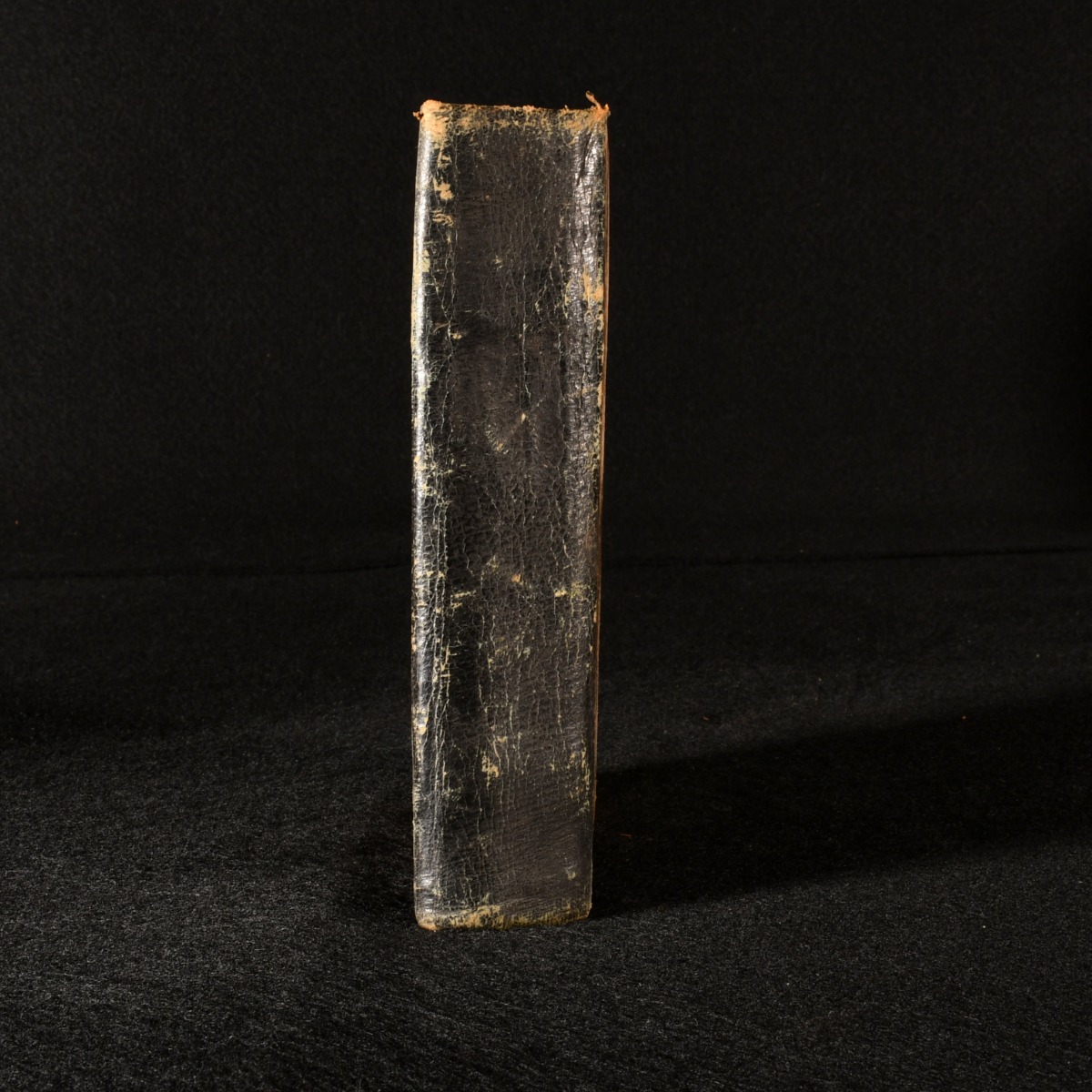 The Life and Adventures of Peter Wilkins A Cornish Man by Robert ...