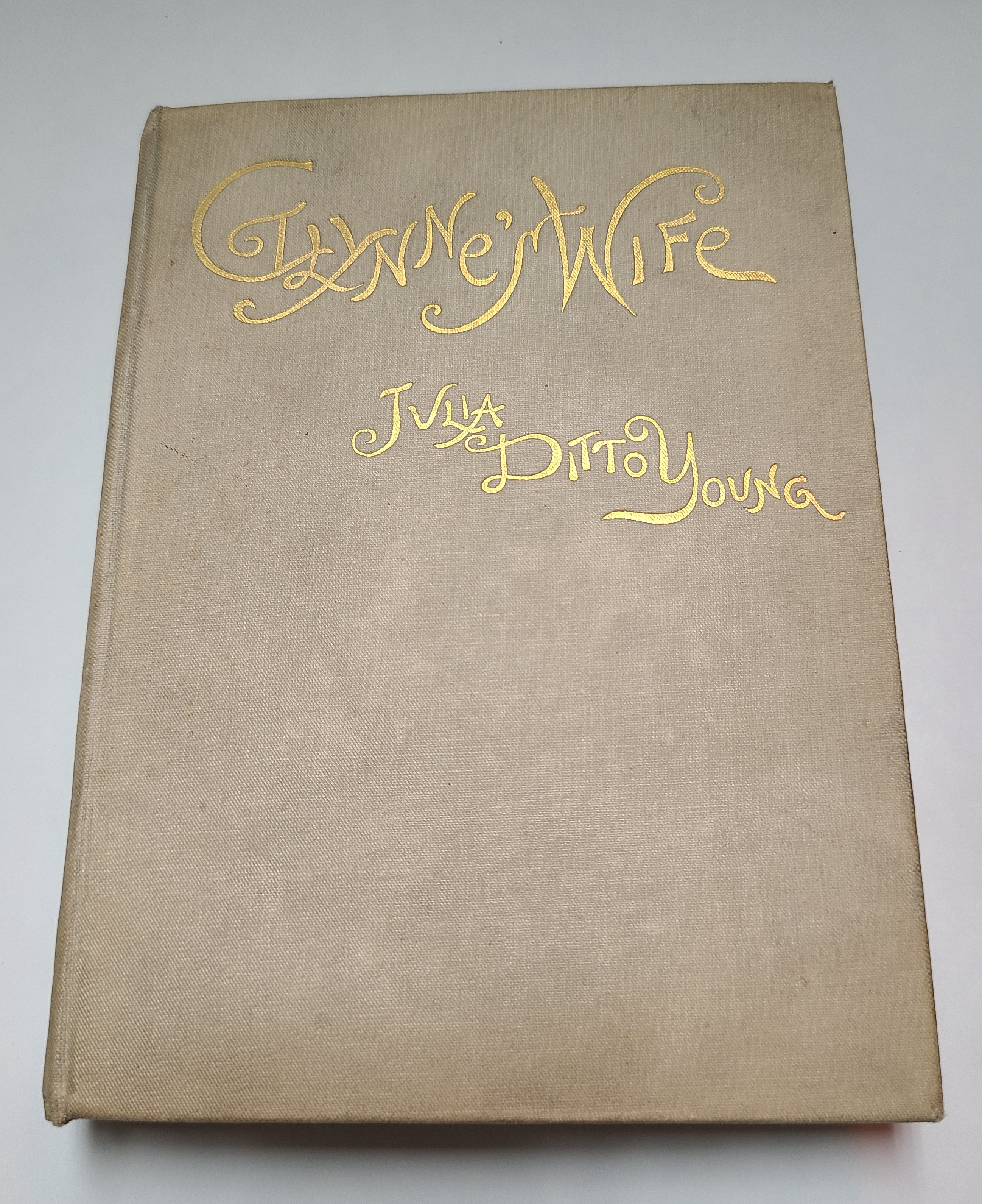 Glynne's Wife by Julia Ditto Young: Very Good Hardcover (1896) Signed ...