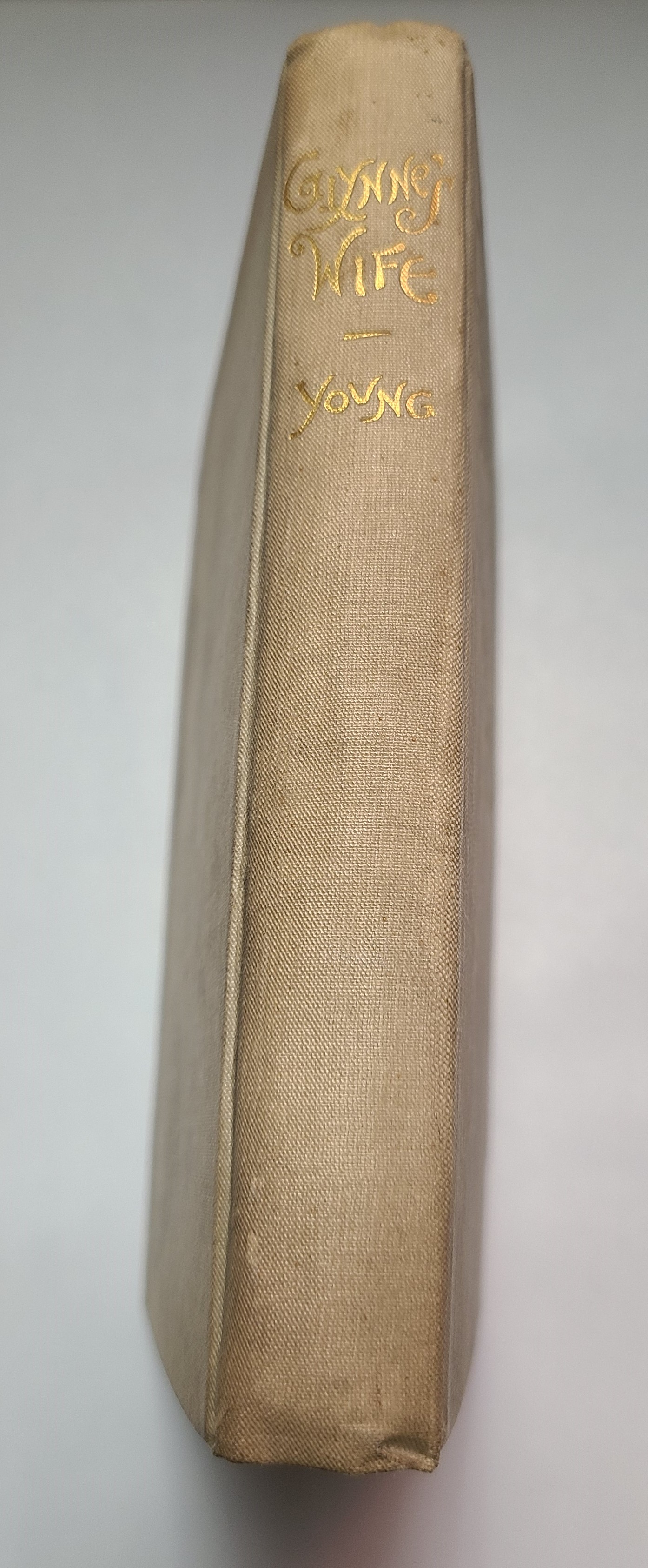 Glynne's Wife by Julia Ditto Young: Very Good Hardcover (1896) Signed ...