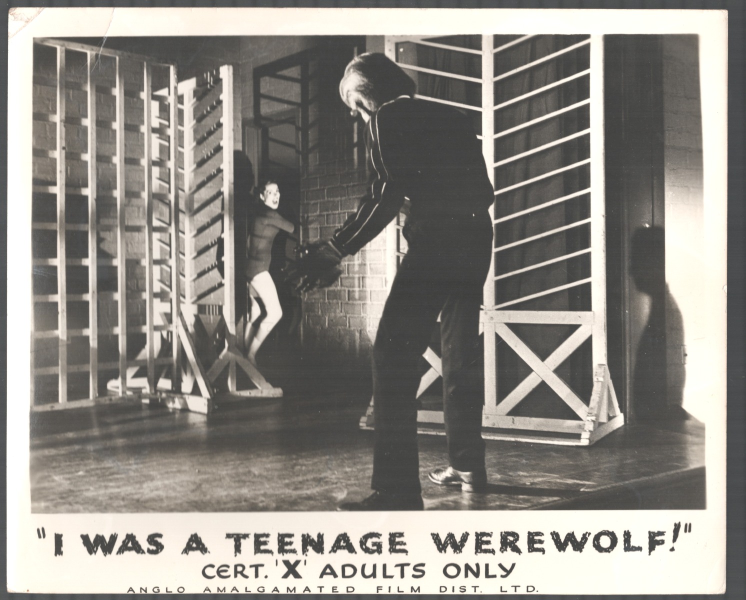 I Was a Teenage Werewolf! 8x10 Movie Horror Sci-Fi... | Barnebys