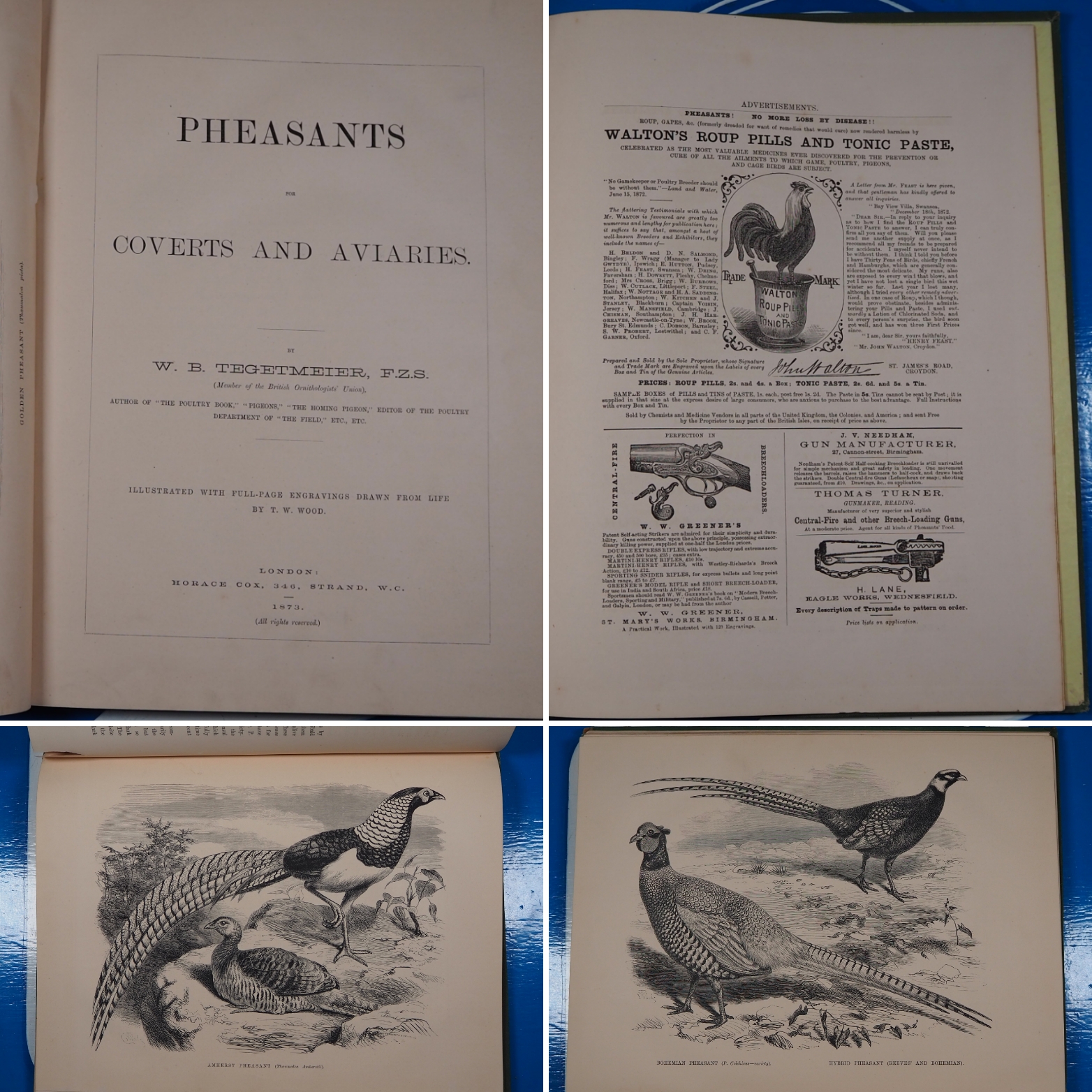 Pheasants for Coverts and Aviaries. by Tegetmeier, W[illiam].B[ernhardt ...