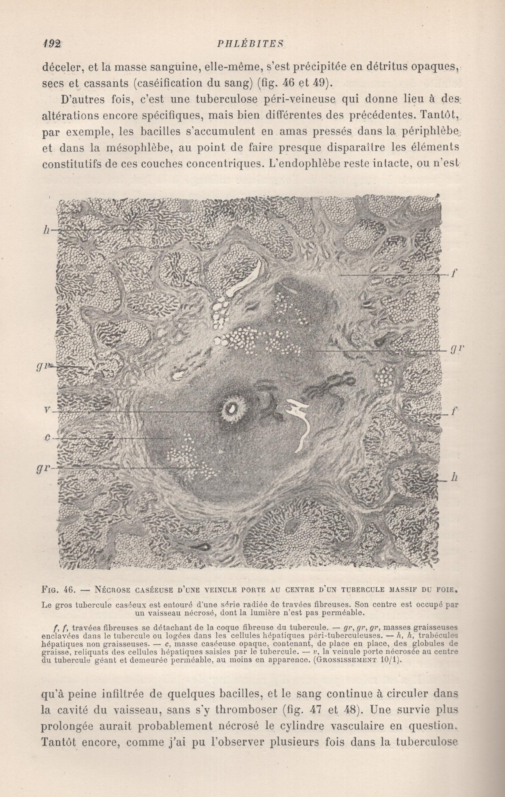 Anatomie pathologique Coeur-Vaisseaux-Poumons ; Av. 102 fig., dont 31 ...