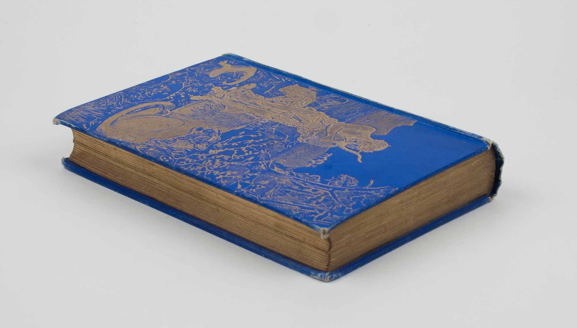 The Blue Poetry Book by LANG, Andrew.: Very Good Hardcover (1891) 1st ...