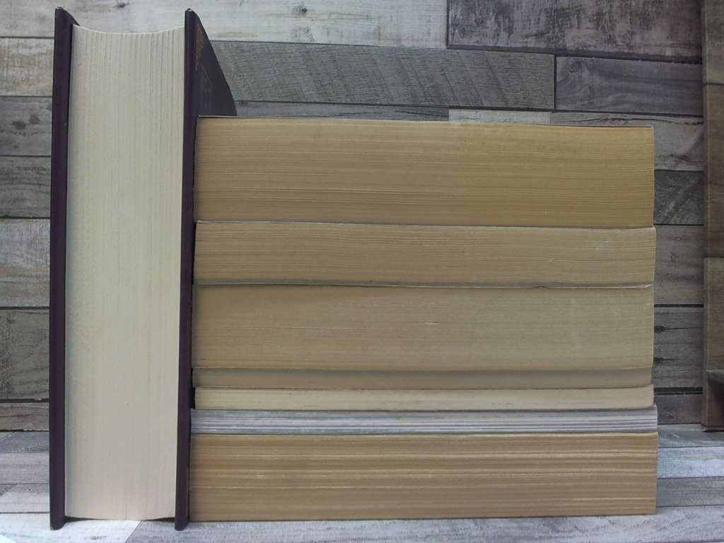 Cornelia Funke 5 book set: Inkheart Trilogy (inkspell, inkheart ...