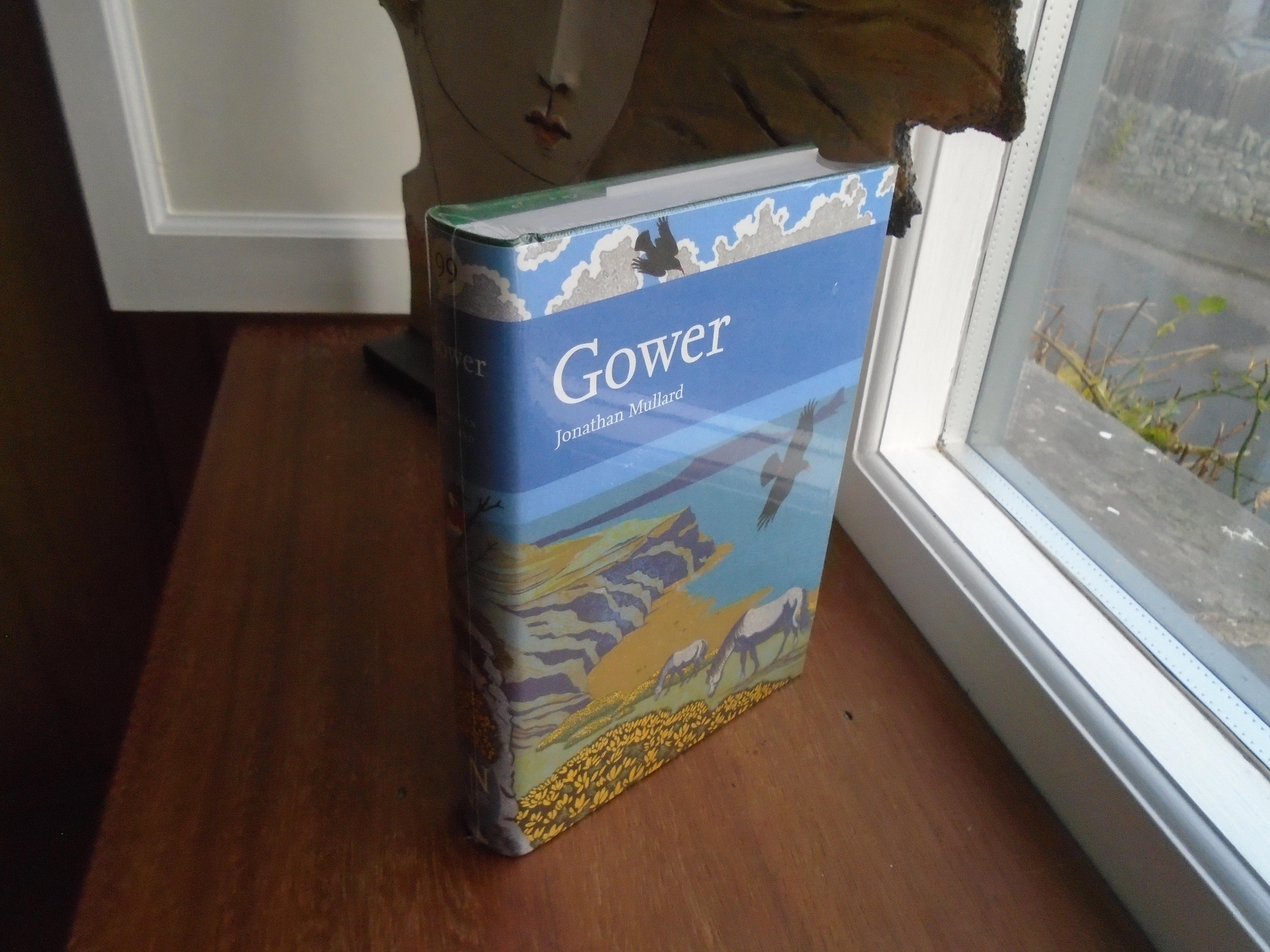 Gower by Jonathan Mullard: As New Hardcover (2018) 1st Edition | PETER ...