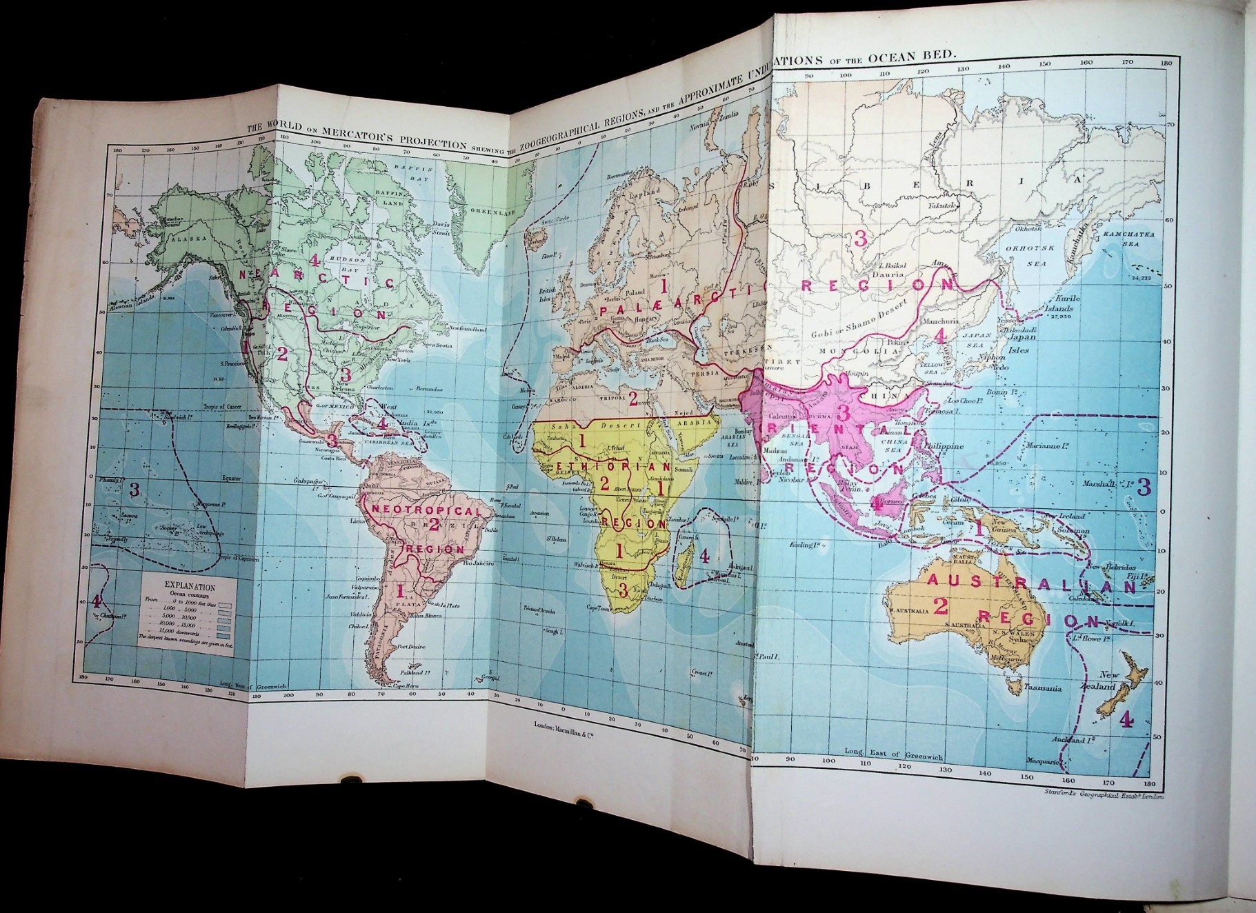 The Geographical Distribution of Animals de Alfred Russel Wallace: Near ...