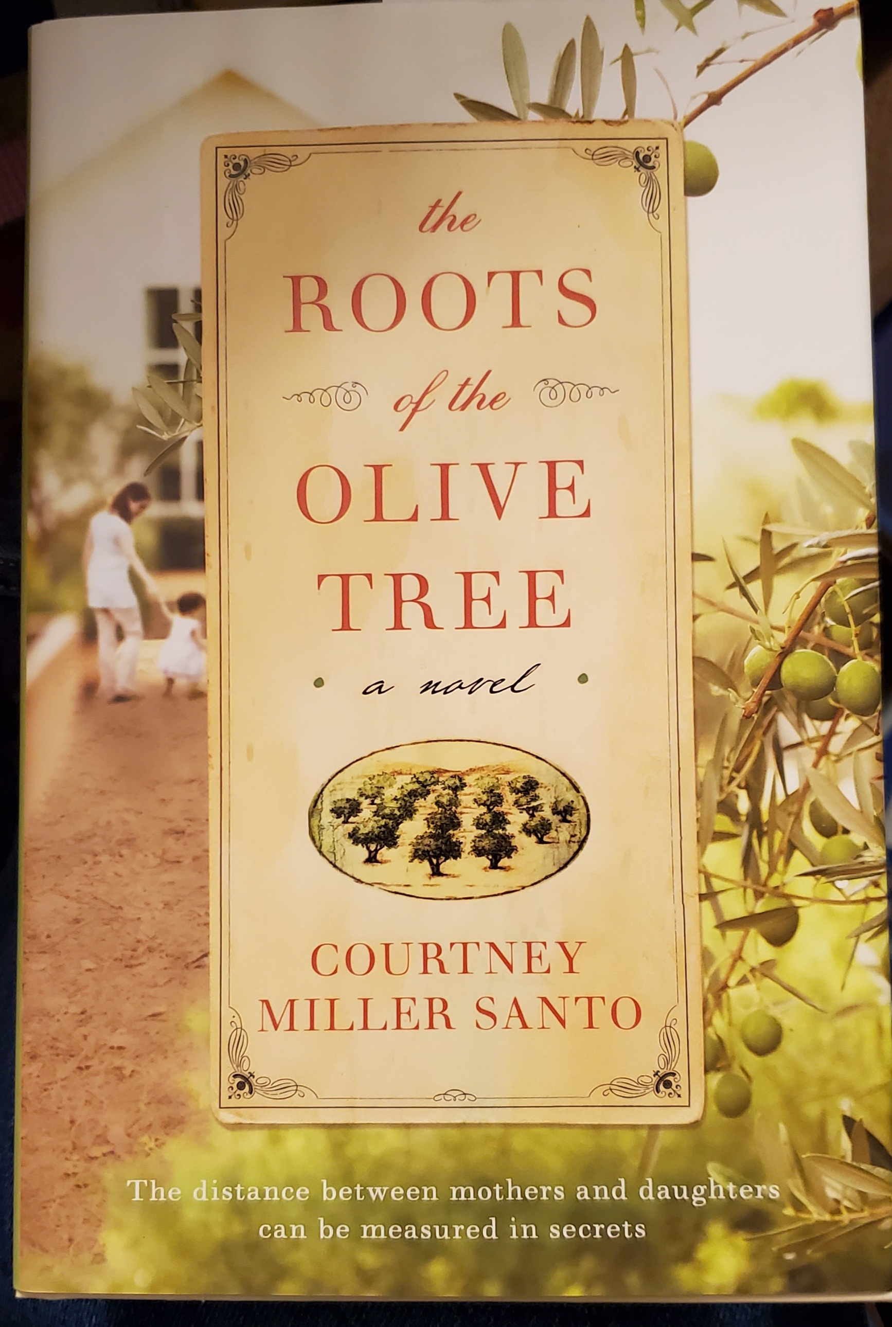 The Roots of the Olive Tree [SIGNED] by Courtney Miller Santo: New ...